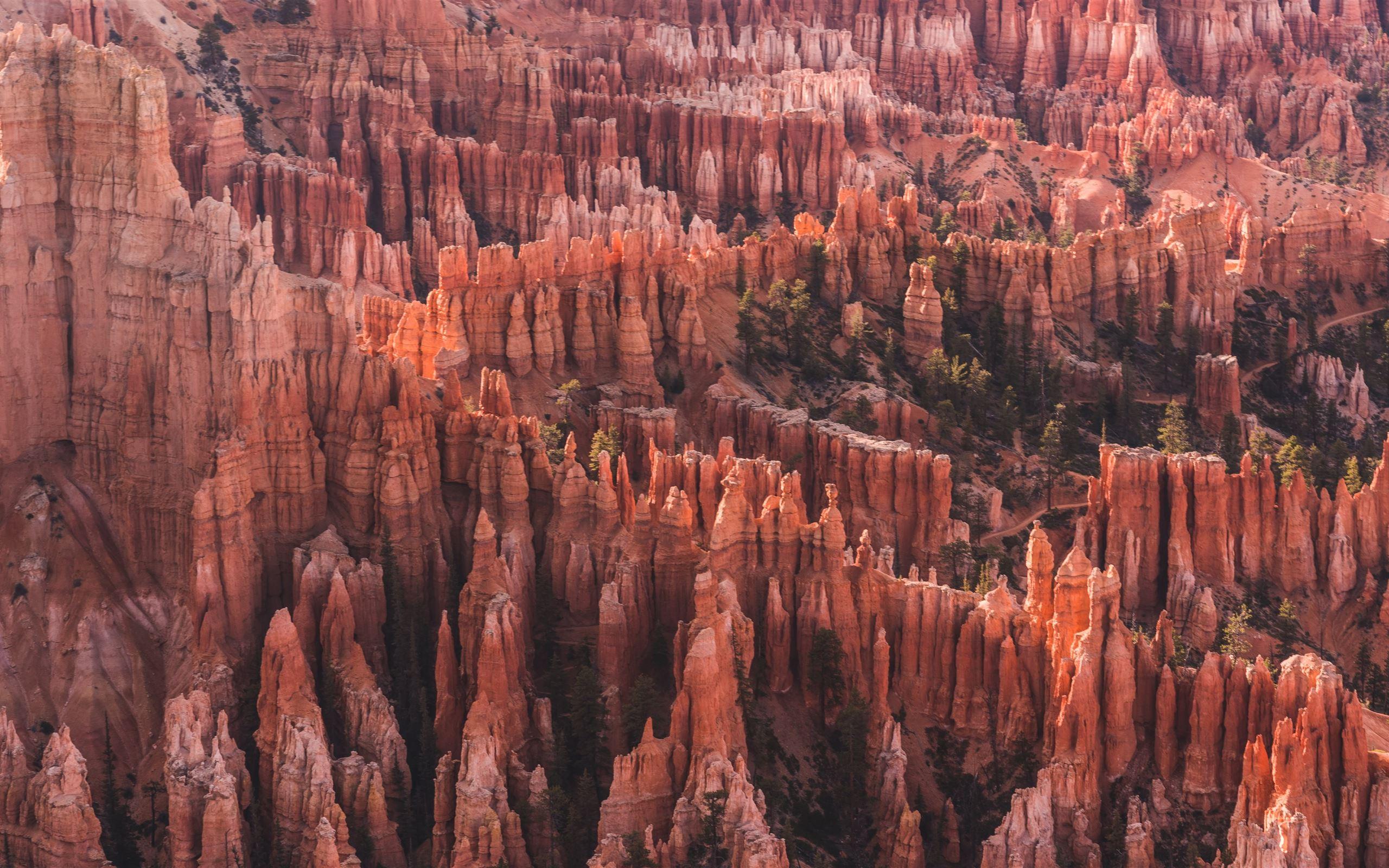Bryce Canyon Wallpapers - Top Free Bryce Canyon Backgrounds ...
