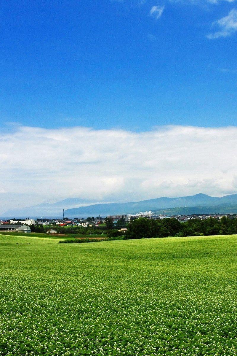 Summer Japan Wallpapers - Top Free Summer Japan Backgrounds ...