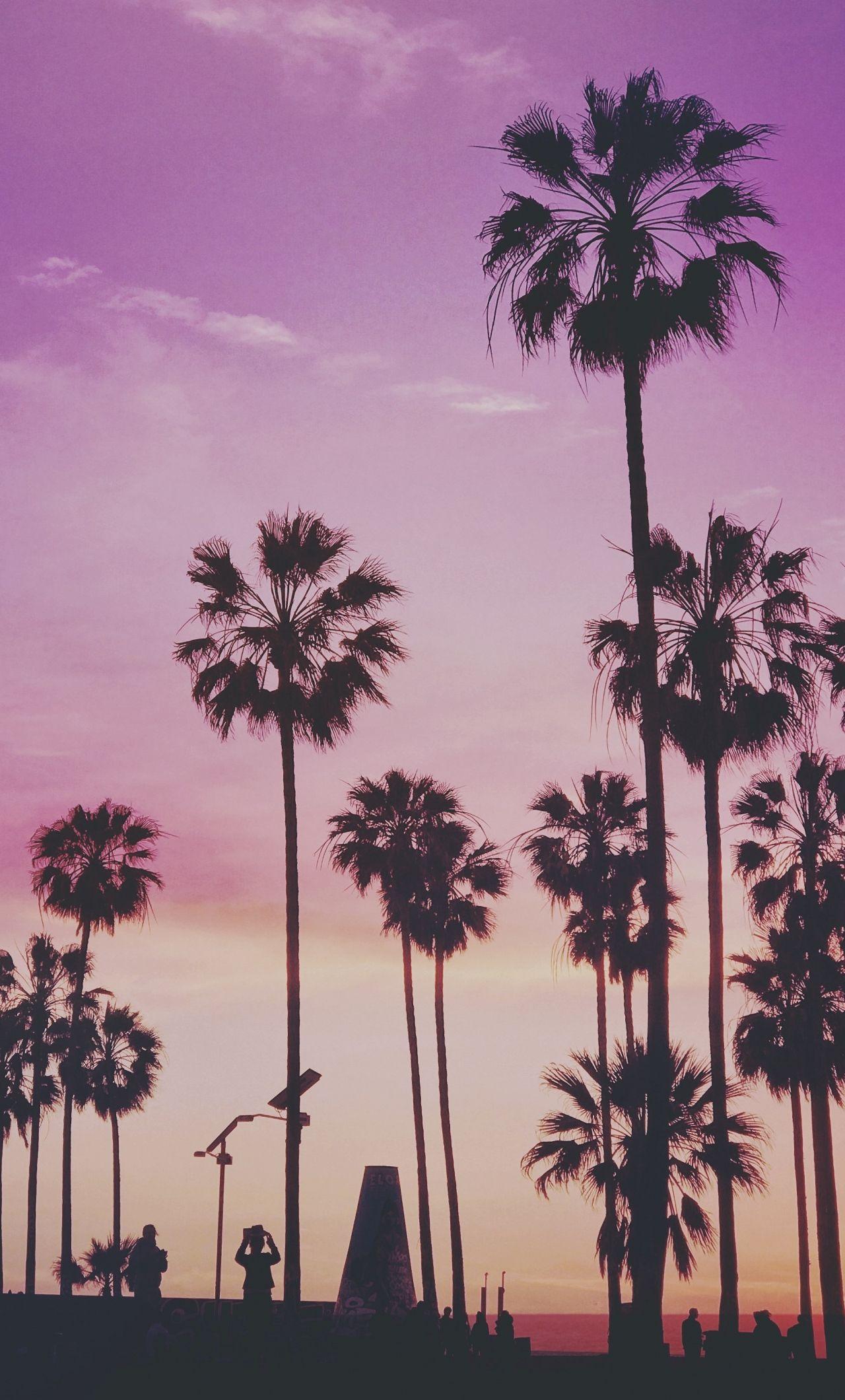 Miami iPhone Wallpapers - Top Free Miami iPhone Backgrounds ...