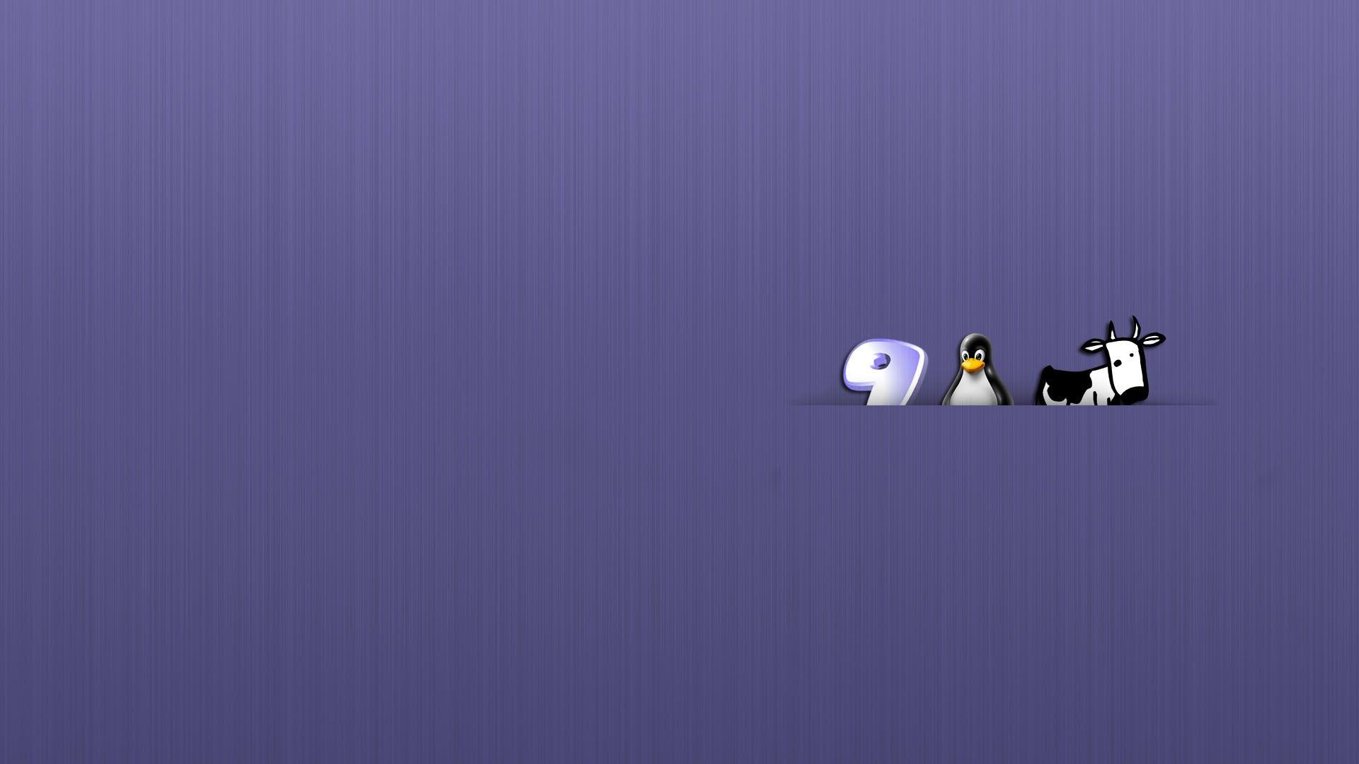 Gentoo Wallpapers - Top Free Gentoo Backgrounds - WallpaperAccess
