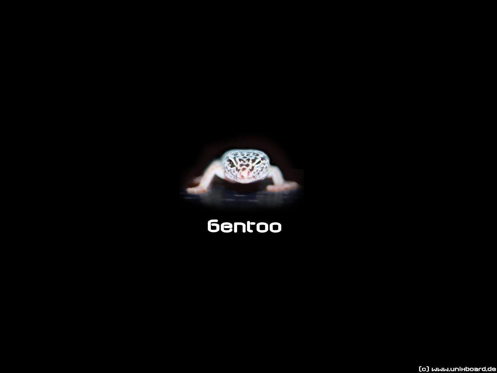 Gentoo Wallpapers - Top Free Gentoo Backgrounds - WallpaperAccess