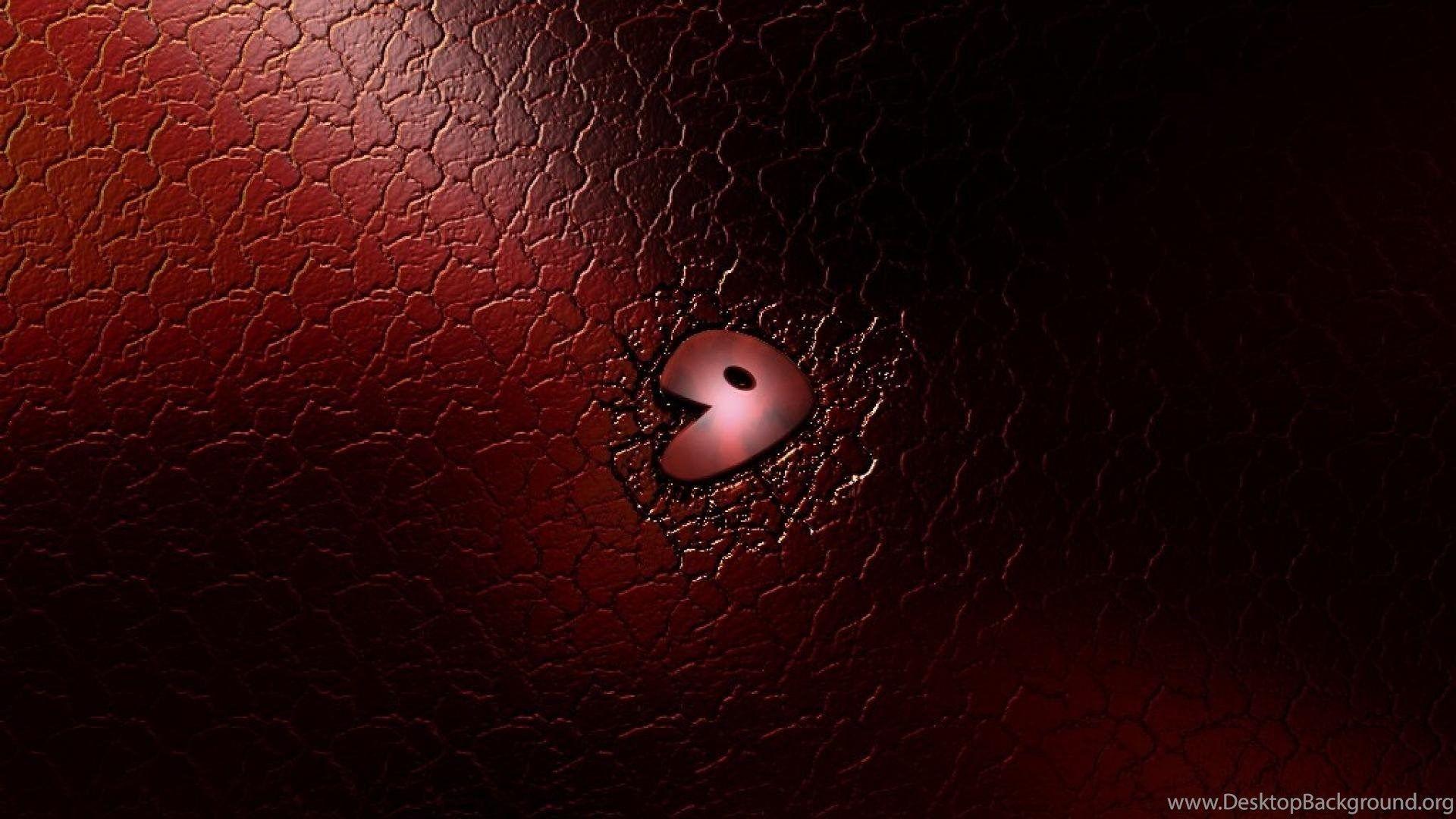 Gentoo Wallpapers - Top Free Gentoo Backgrounds - WallpaperAccess