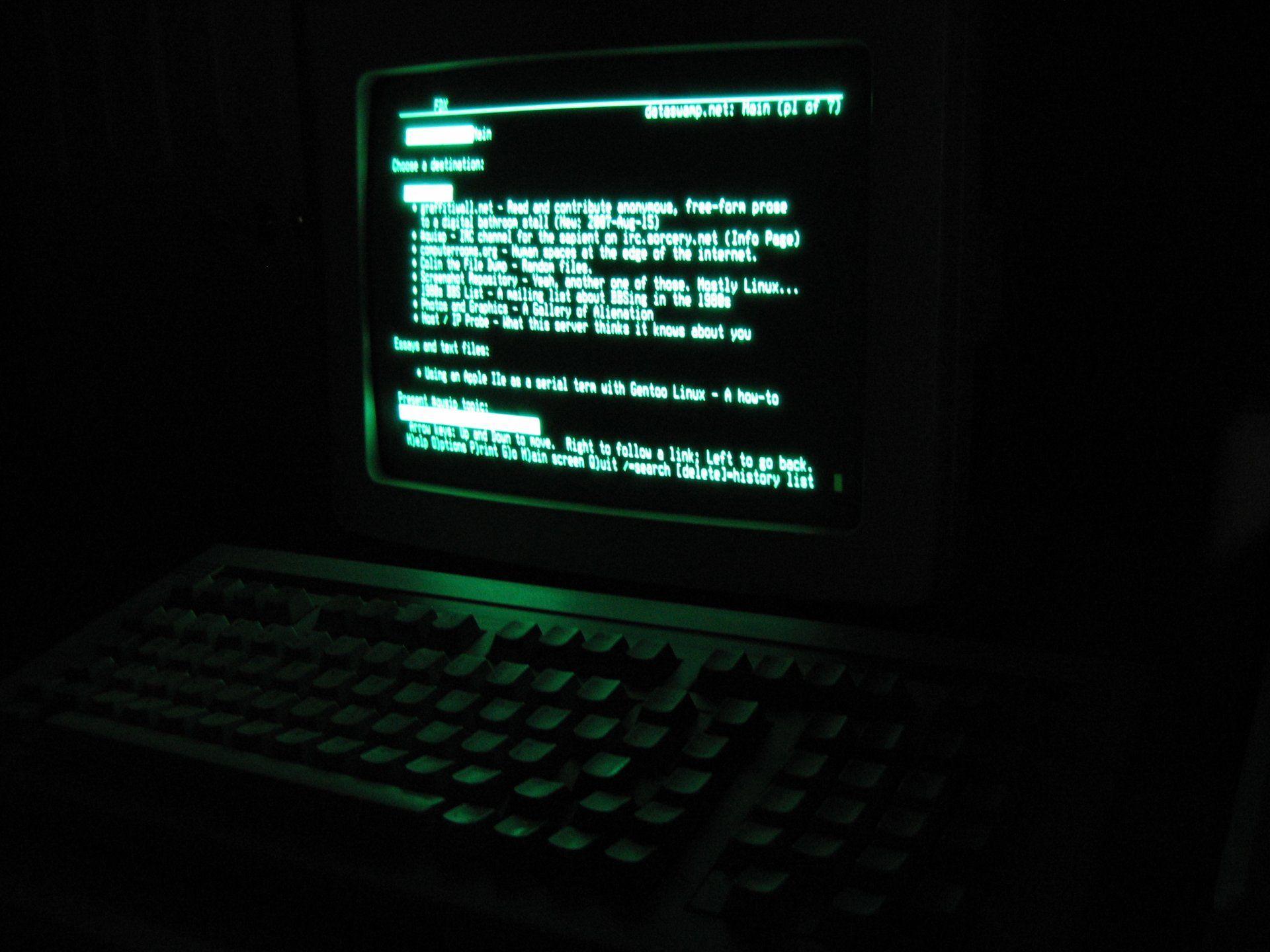 Gentoo Wallpapers - Top Free Gentoo Backgrounds - WallpaperAccess