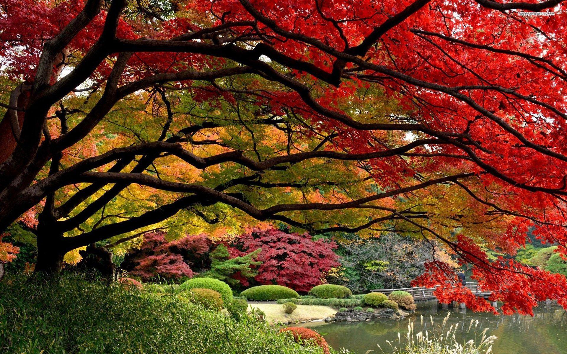 Autumn Garden Wallpapers - Top Free Autumn Garden Backgrounds ...