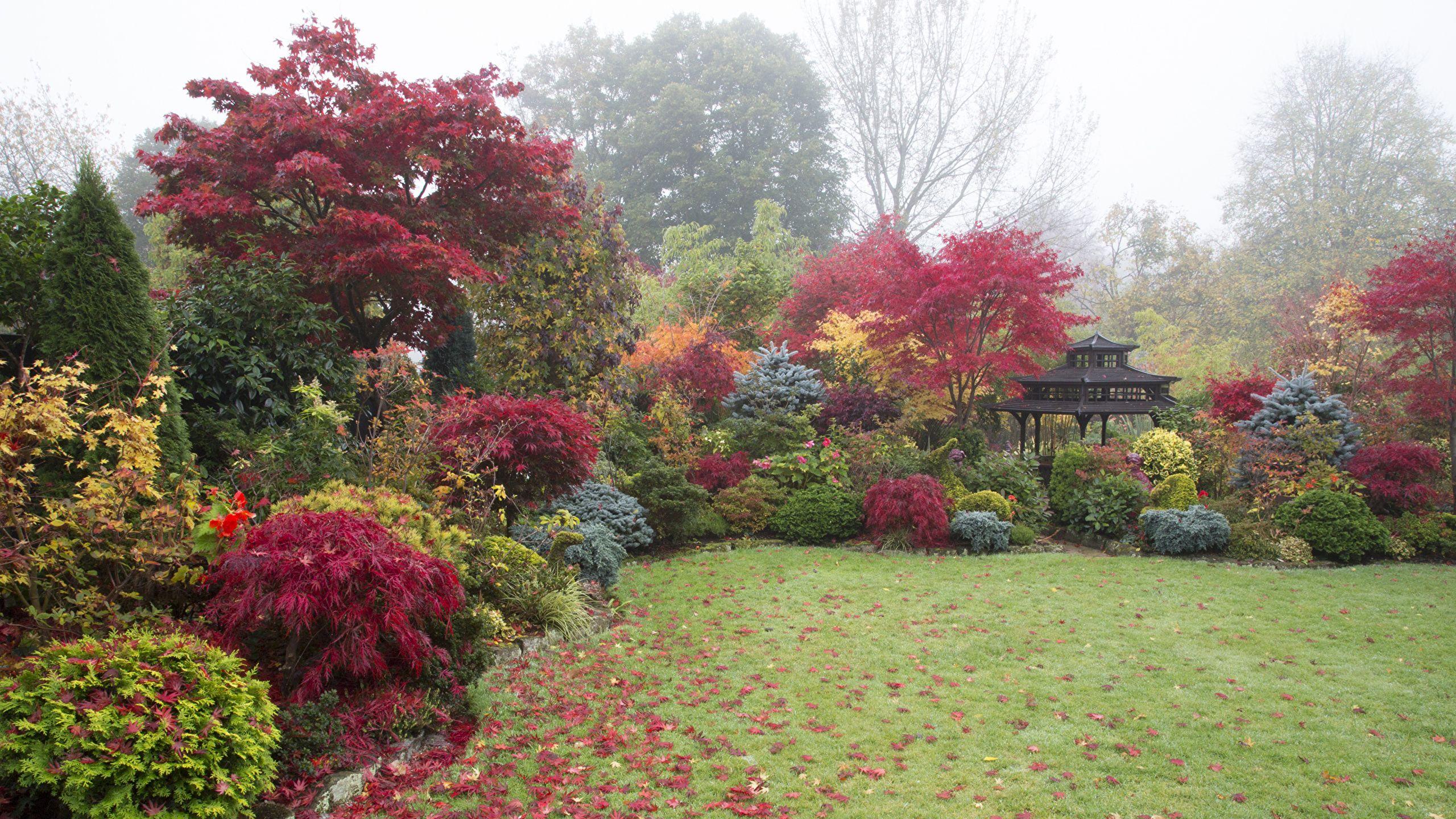 Autumn Garden Wallpapers - Top Free Autumn Garden Backgrounds ...