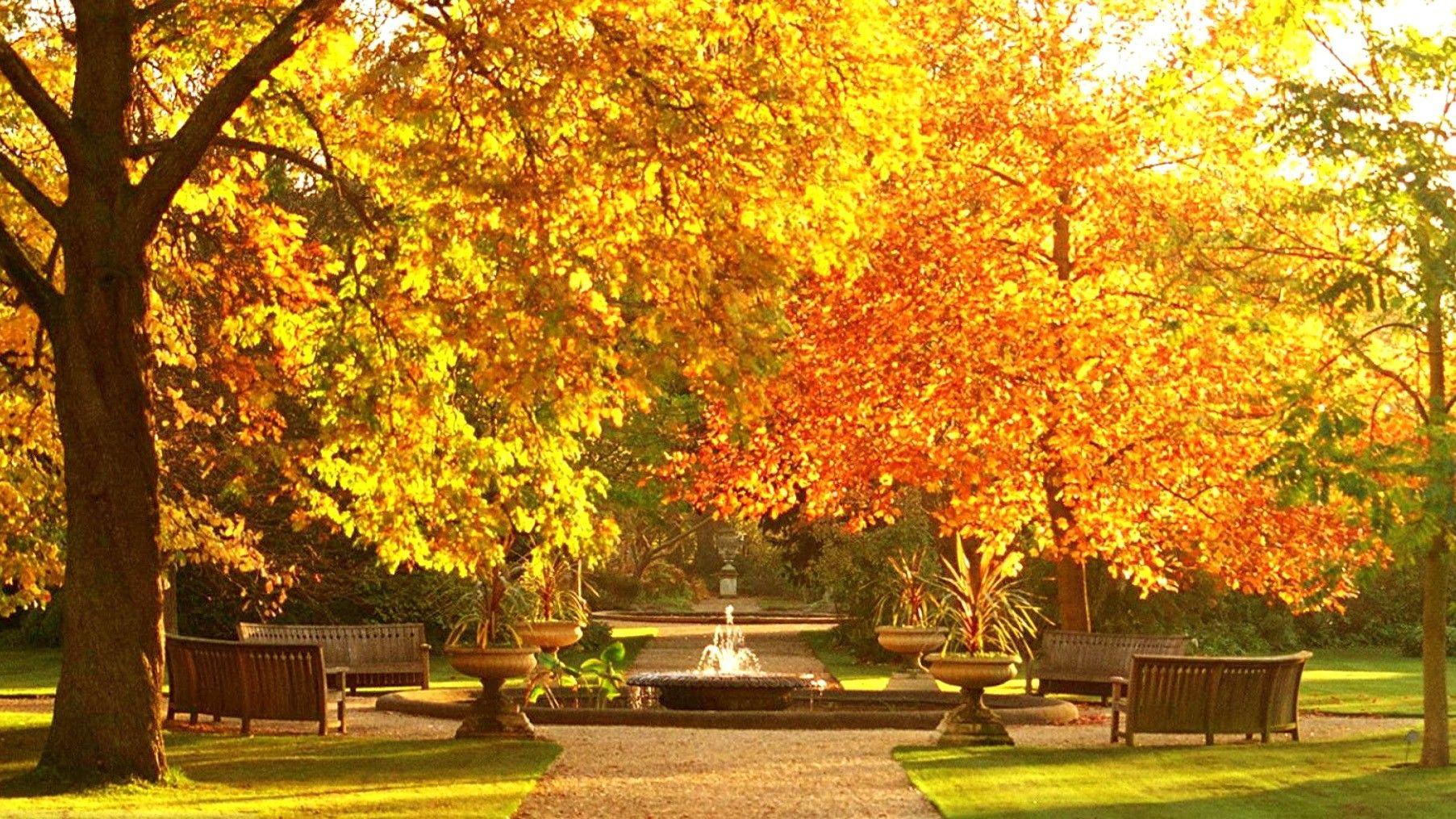 Autumn Garden Wallpapers - Top Free Autumn Garden Backgrounds ...