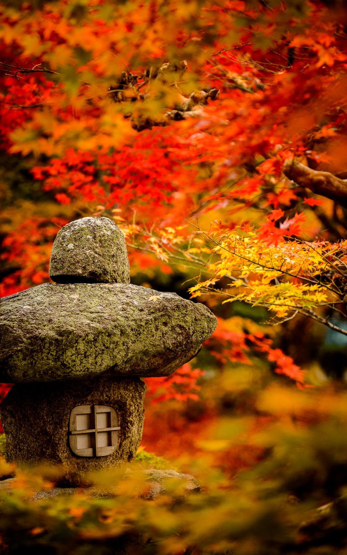 Autumn Garden Wallpapers - Top Free Autumn Garden Backgrounds ...