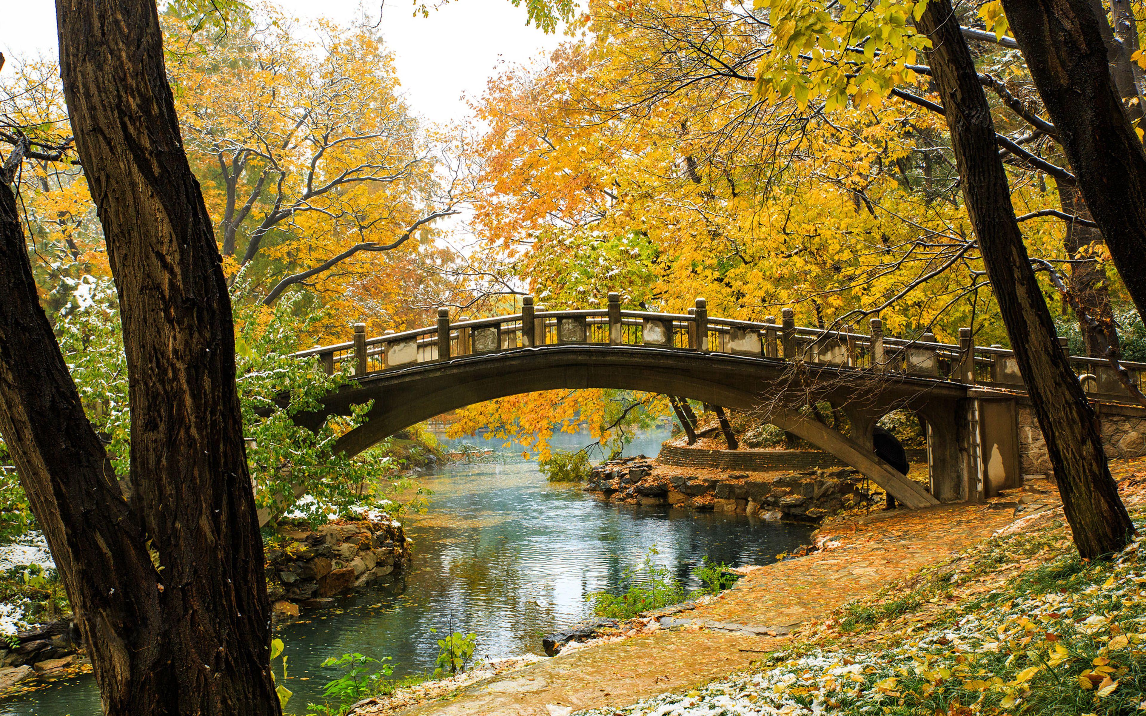 Autumn Garden Wallpapers - Top Free Autumn Garden Backgrounds ...