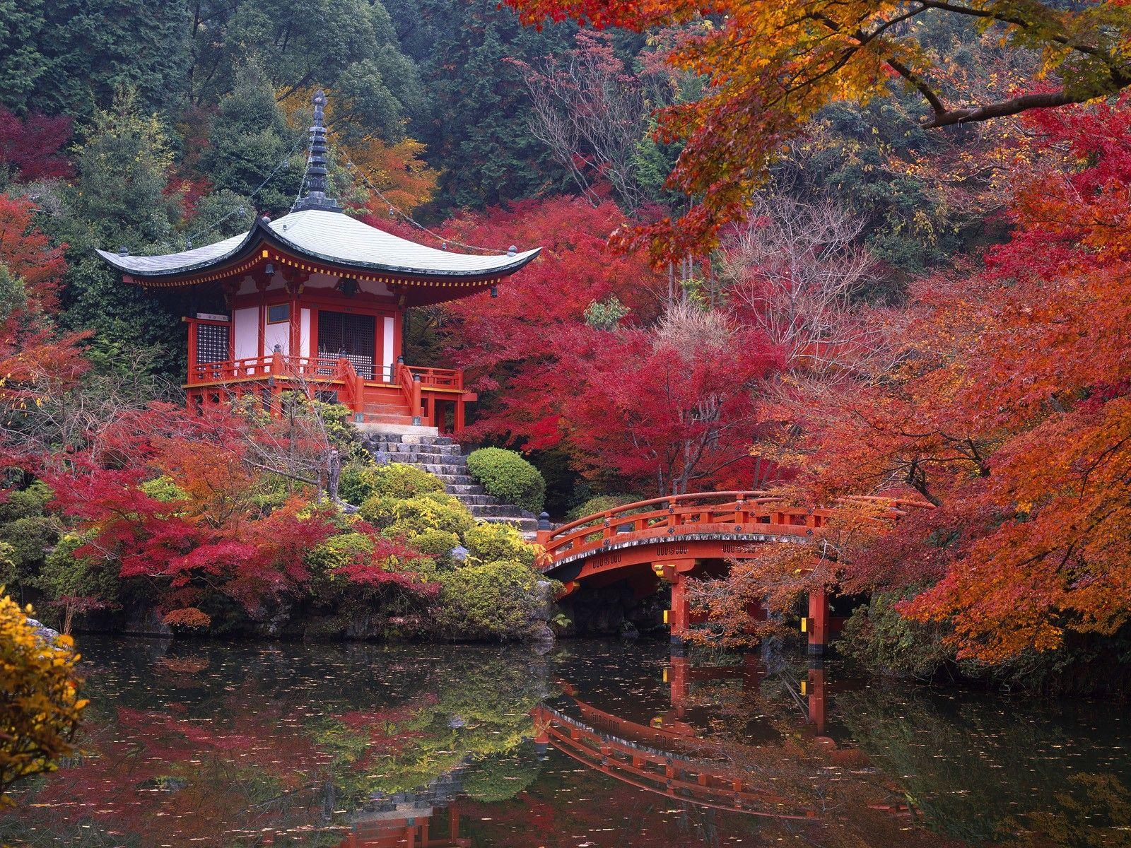 Japanese Autumn Wallpapers - Top Free Japanese Autumn Backgrounds ...