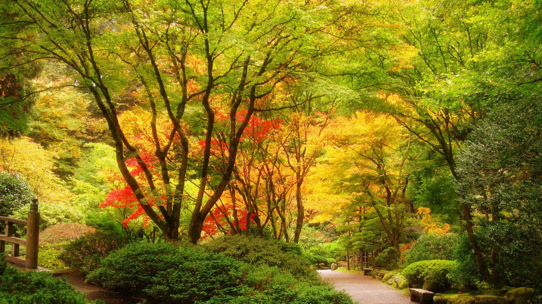 Autumn Garden Wallpapers - Top Free Autumn Garden Backgrounds ...