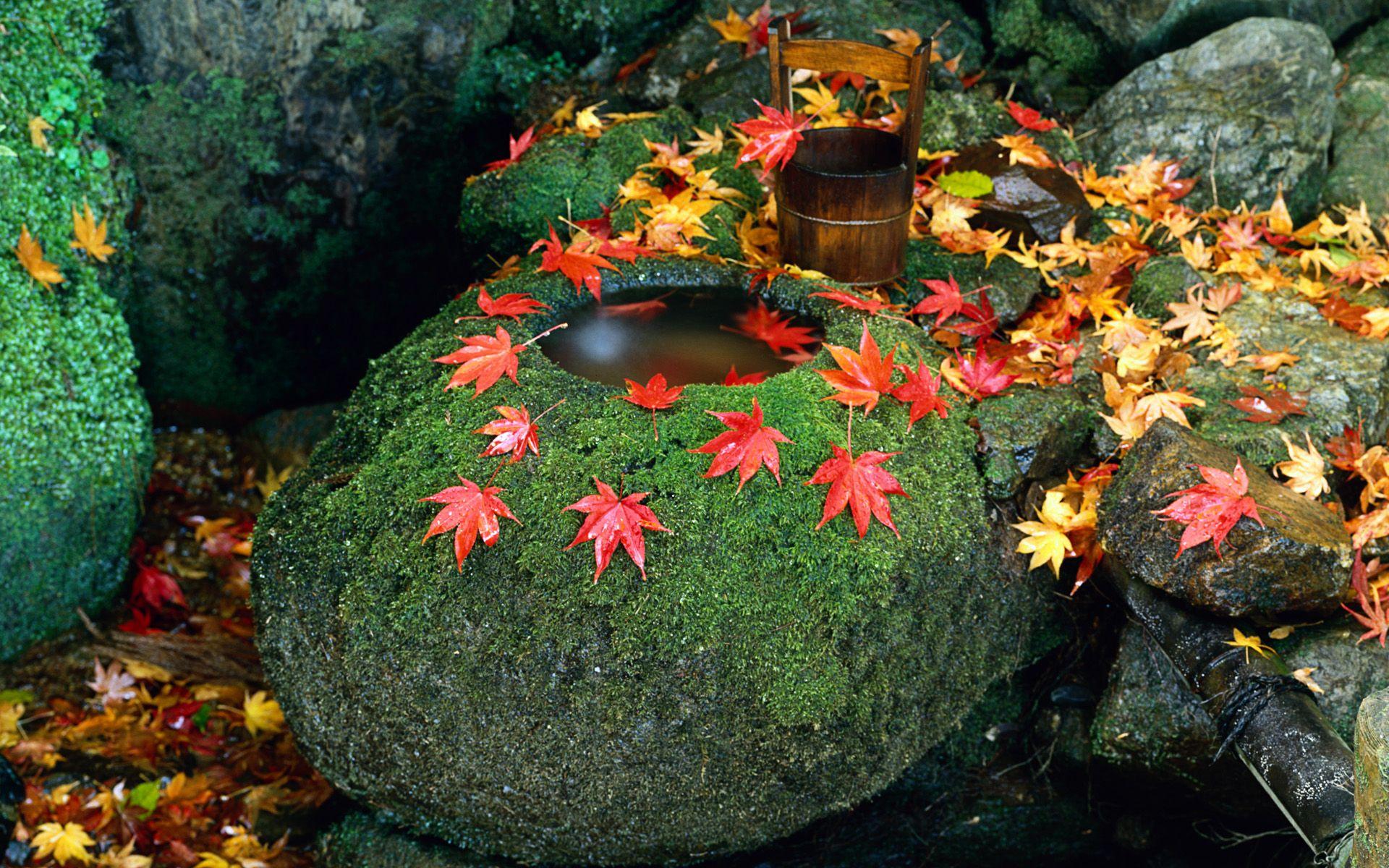 Autumn Garden Wallpapers - Top Free Autumn Garden Backgrounds ...