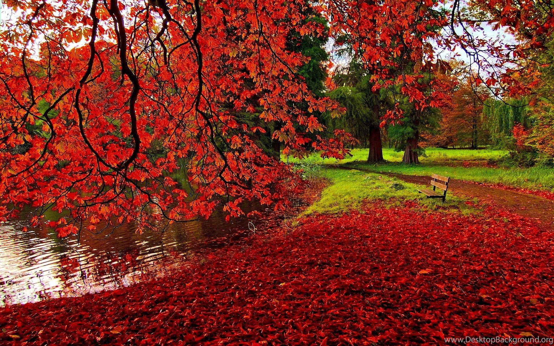 Autumn Garden Wallpapers - Top Free Autumn Garden Backgrounds ...
