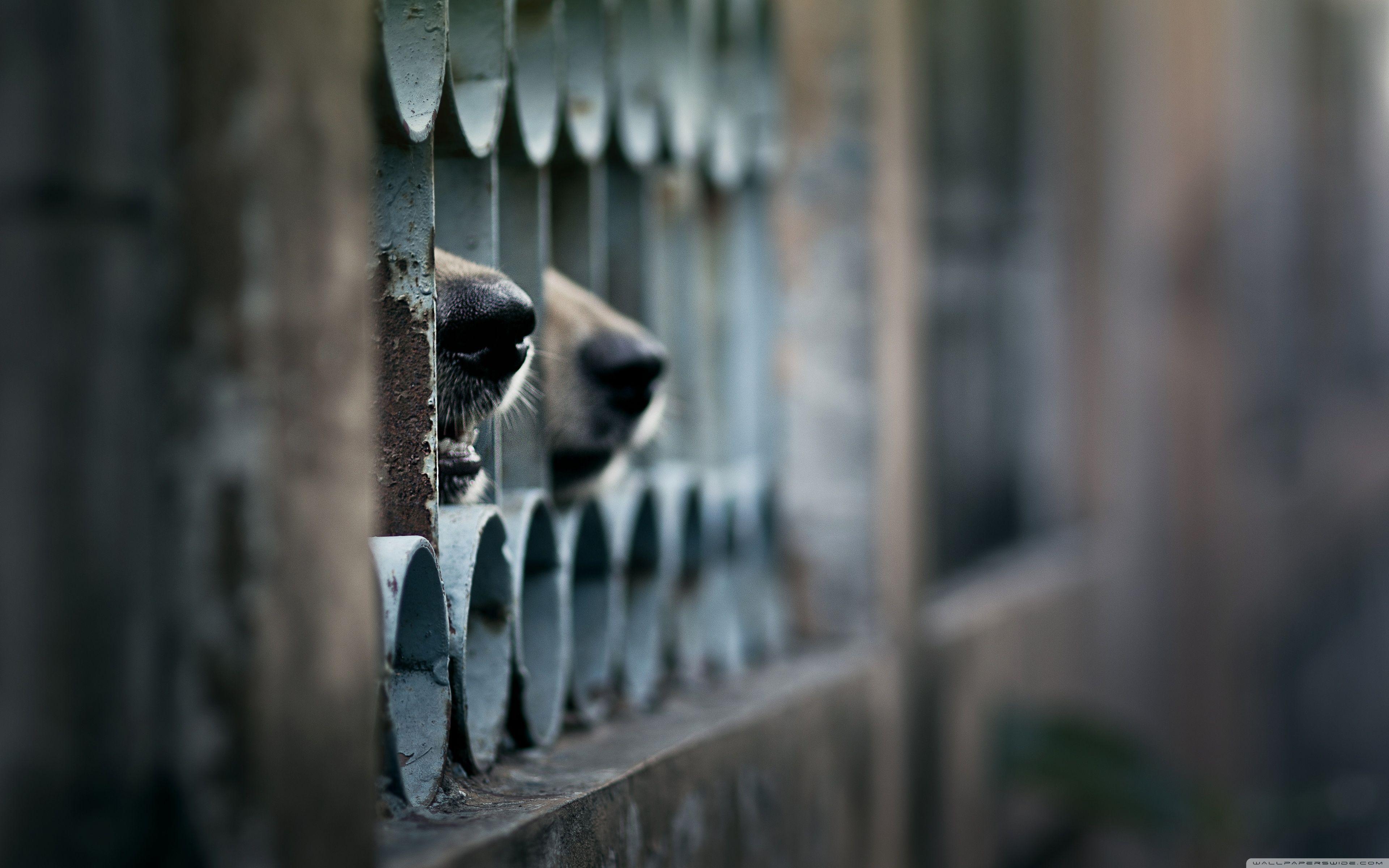 Prison Wallpapers - Top Free Prison Backgrounds - WallpaperAccess