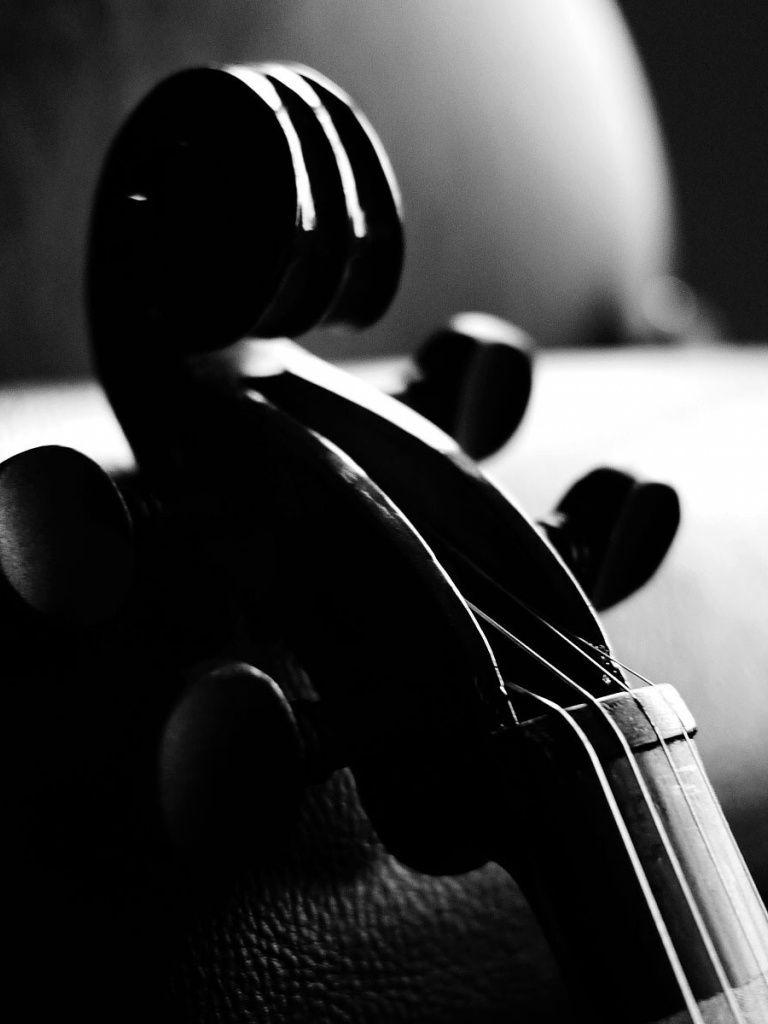 Black Violin Wallpapers - Top Free Black Violin Backgrounds ...