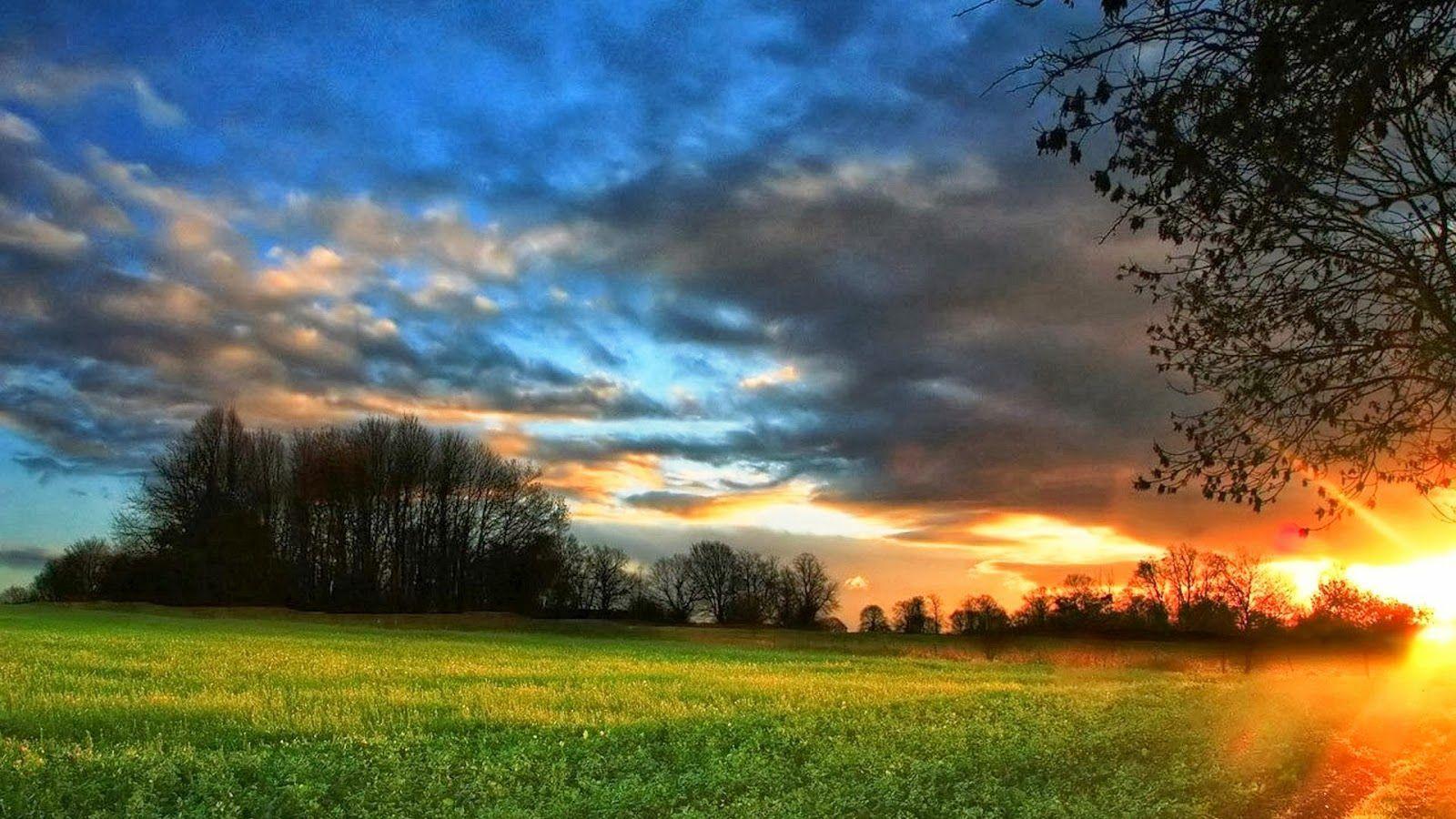 Pretty Nature Wallpapers - Top Free Pretty Nature Backgrounds ...