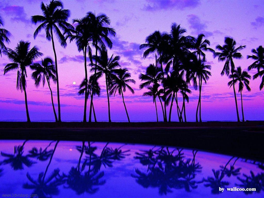 Pretty Beach Wallpapers - Top Free Pretty Beach Backgrounds ...