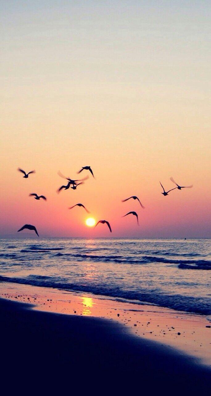 Pretty Beach Wallpapers - Top Free Pretty Beach Backgrounds ...