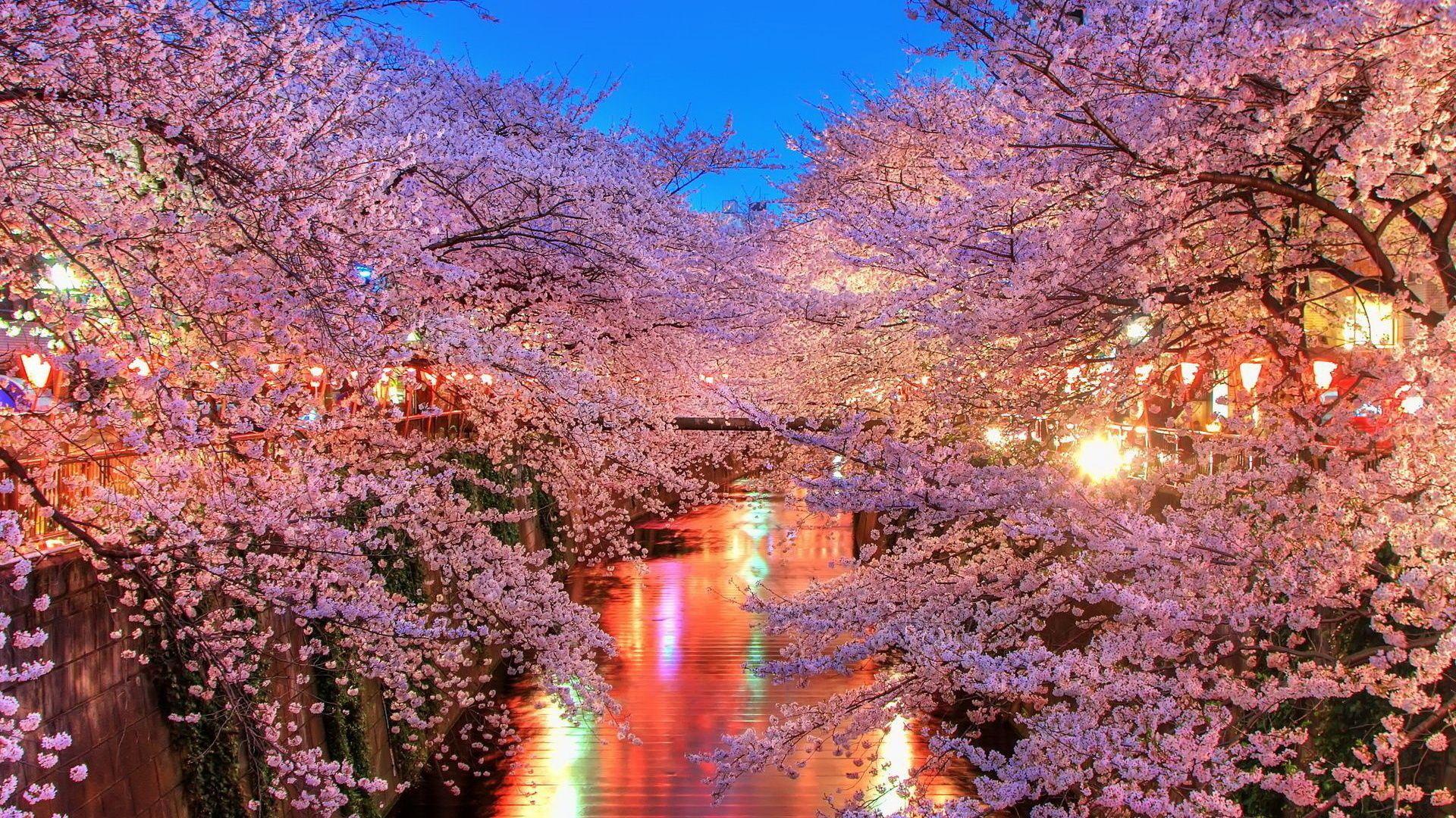 Japanese PC Wallpapers - Top Free Japanese PC Backgrounds - WallpaperAccess