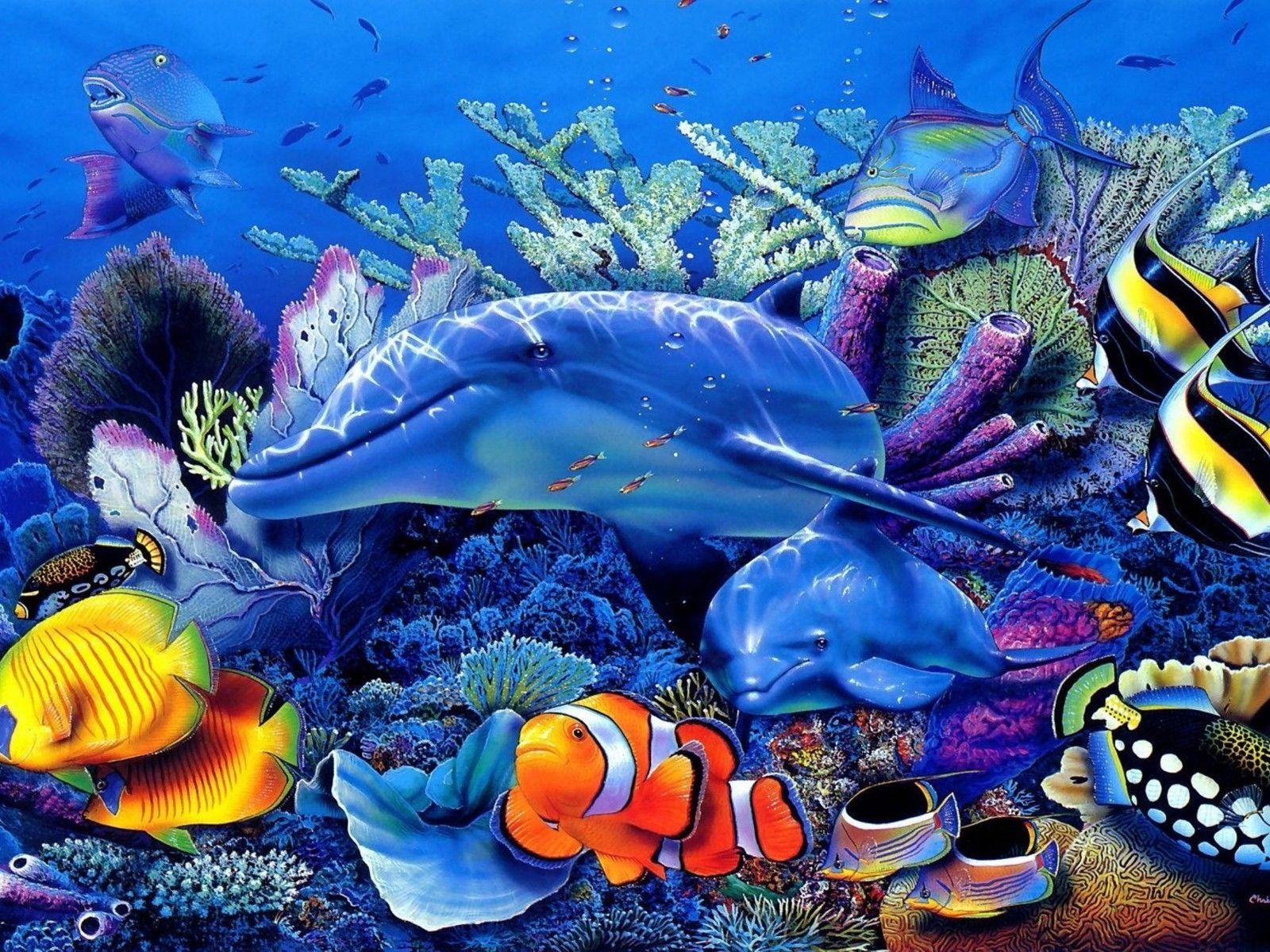 Ocean Fish Wallpapers - Top Free Ocean Fish Backgrounds - WallpaperAccess