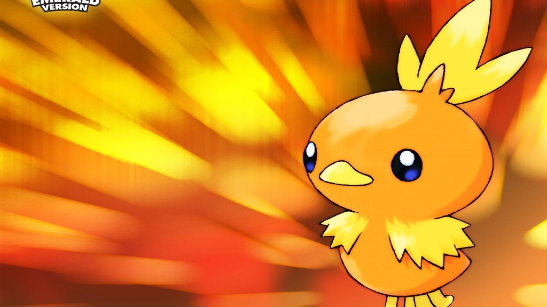 Torchic Wallpapers - Top Free Torchic Backgrounds - WallpaperAccess