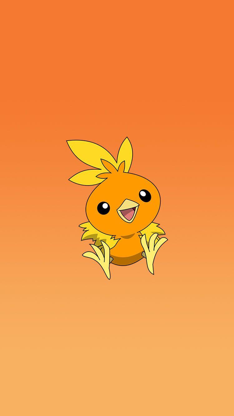 Torchic Wallpapers - Top Free Torchic Backgrounds - WallpaperAccess