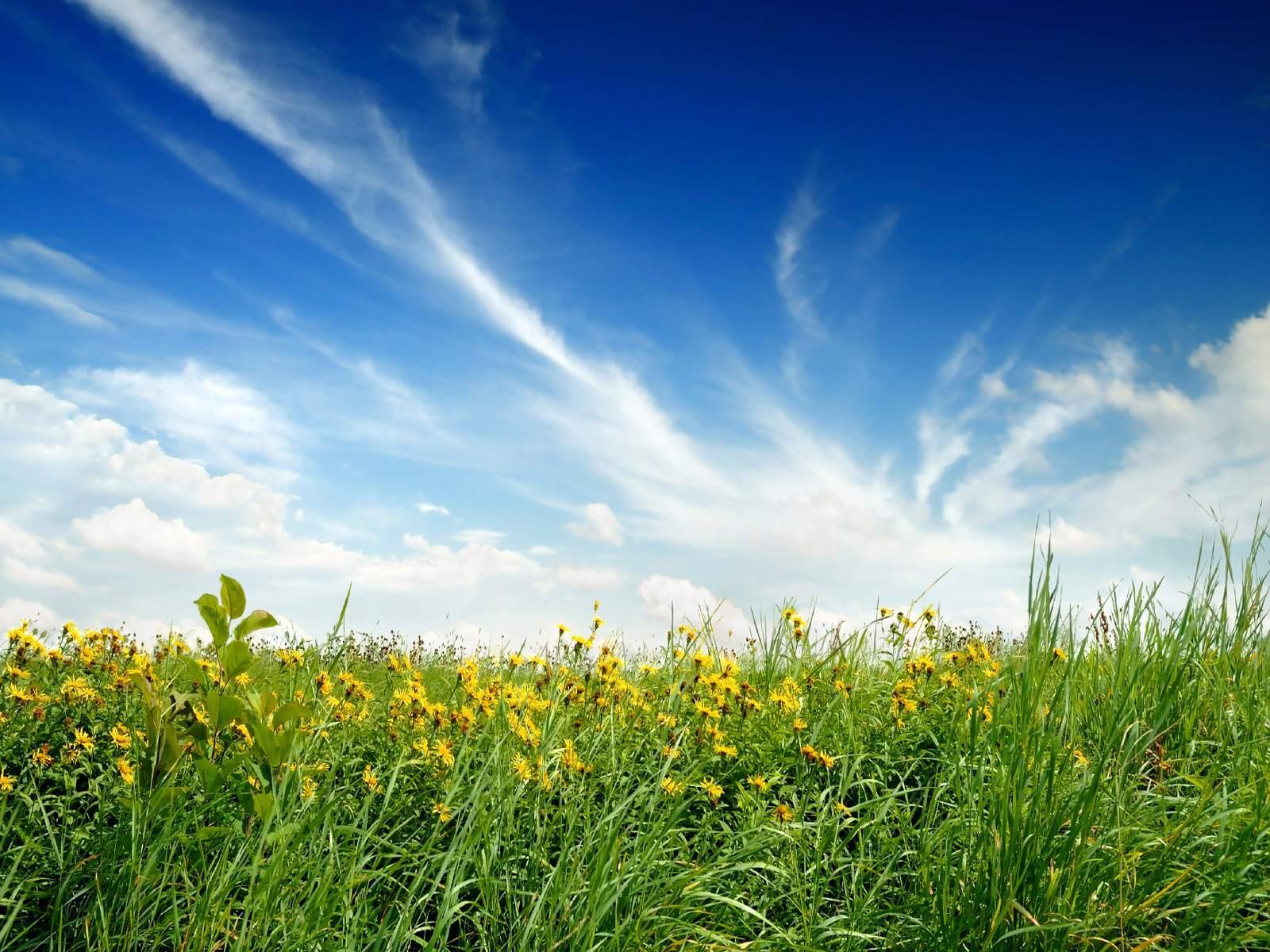 Day Wallpapers - Top Free Day Backgrounds - WallpaperAccess