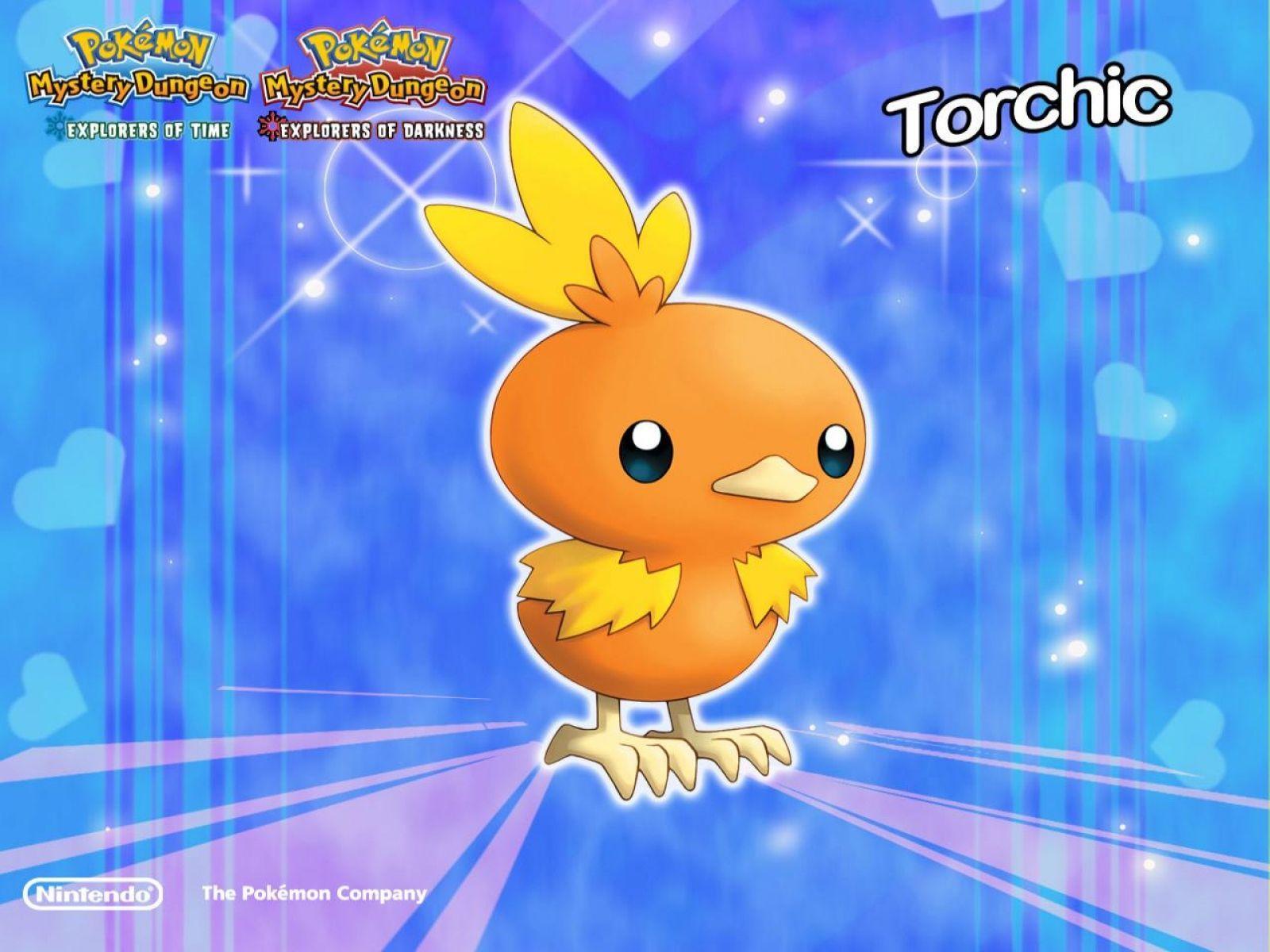 Torchic Wallpapers - Top Free Torchic Backgrounds - WallpaperAccess