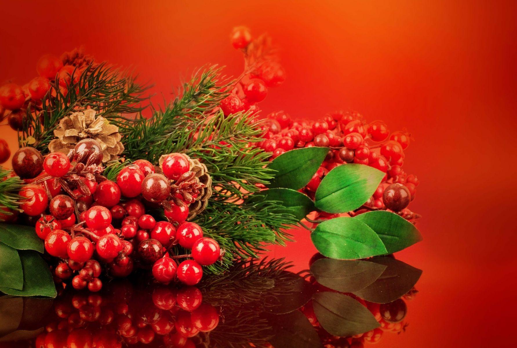 Red Cherry Wallpapers - Top Free Red Cherry Backgrounds - WallpaperAccess