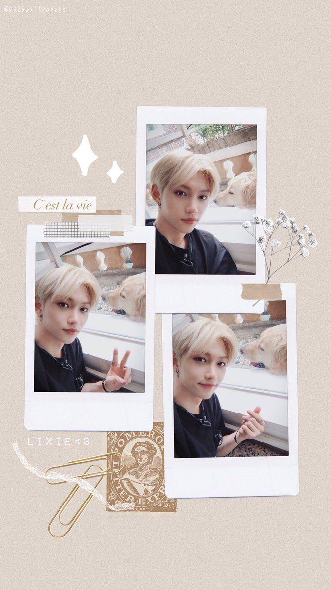 Lee Felix Wallpapers - Top Free Lee Felix Backgrounds - WallpaperAccess