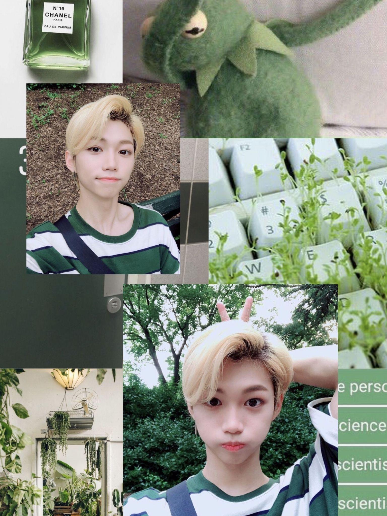 Lee Felix Wallpapers - Top Free Lee Felix Backgrounds - WallpaperAccess