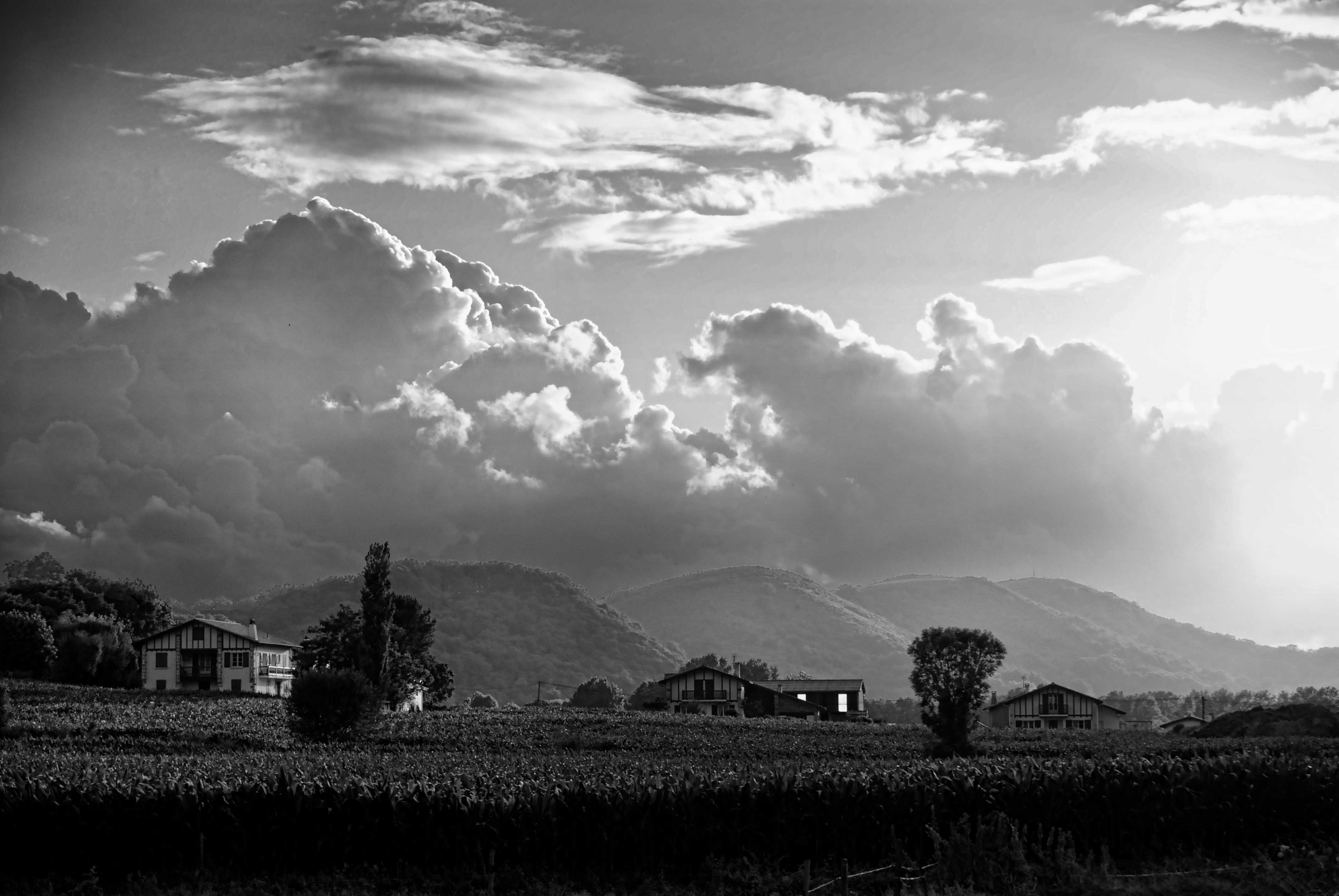 Fine Art Photography Wallpapers - Top Free Fine Art Photography ...