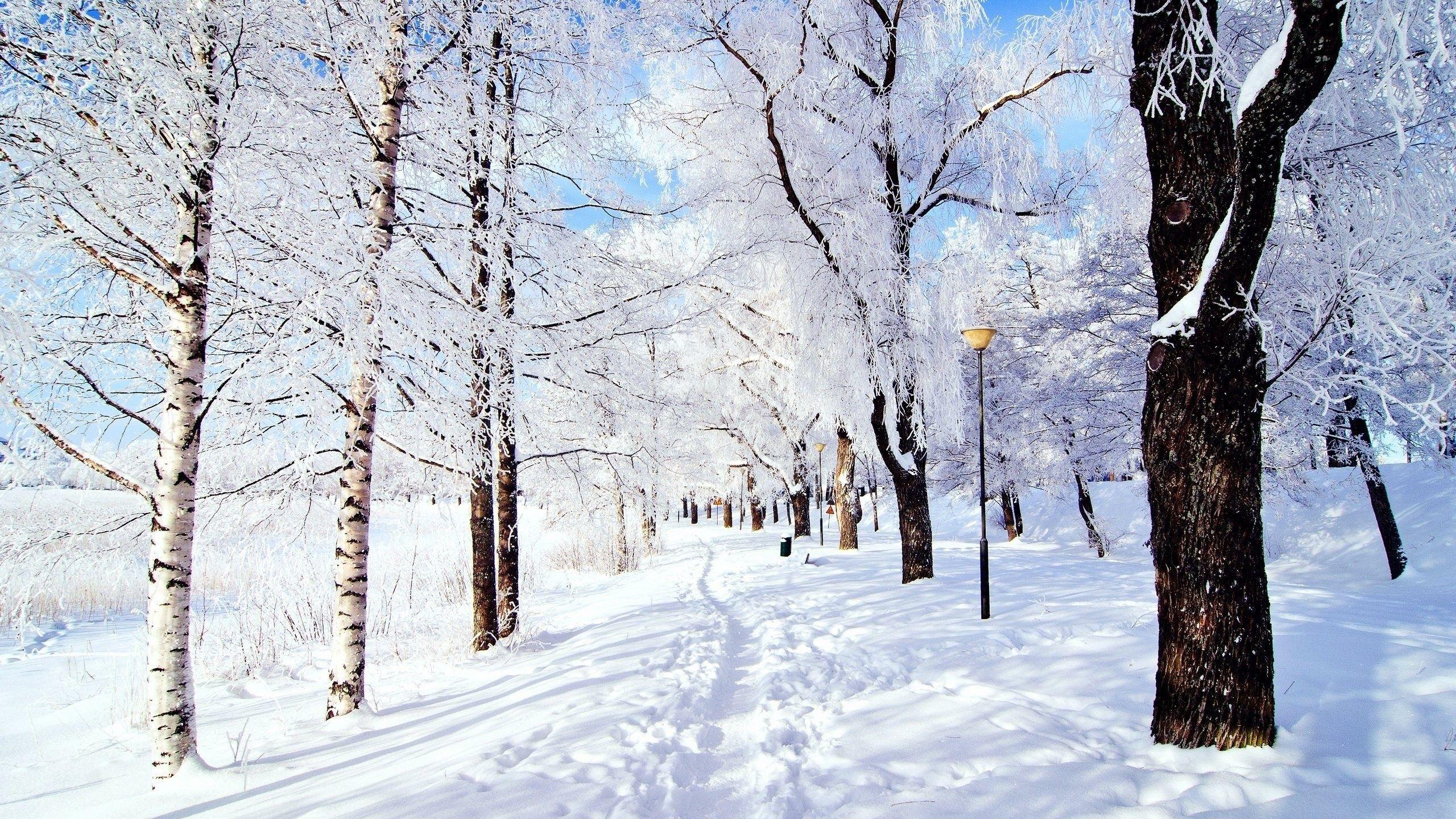 Snow Scenery Wallpapers - Top Free Snow Scenery Backgrounds ...