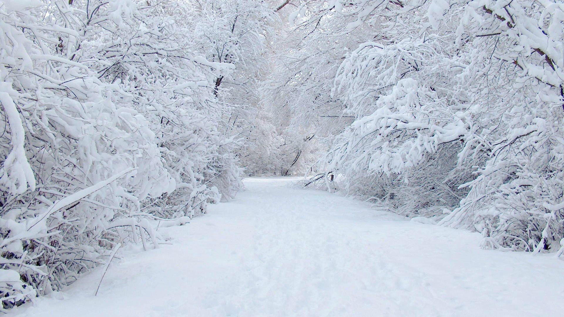 Snow Scenery Wallpapers - Top Free Snow Scenery Backgrounds ...