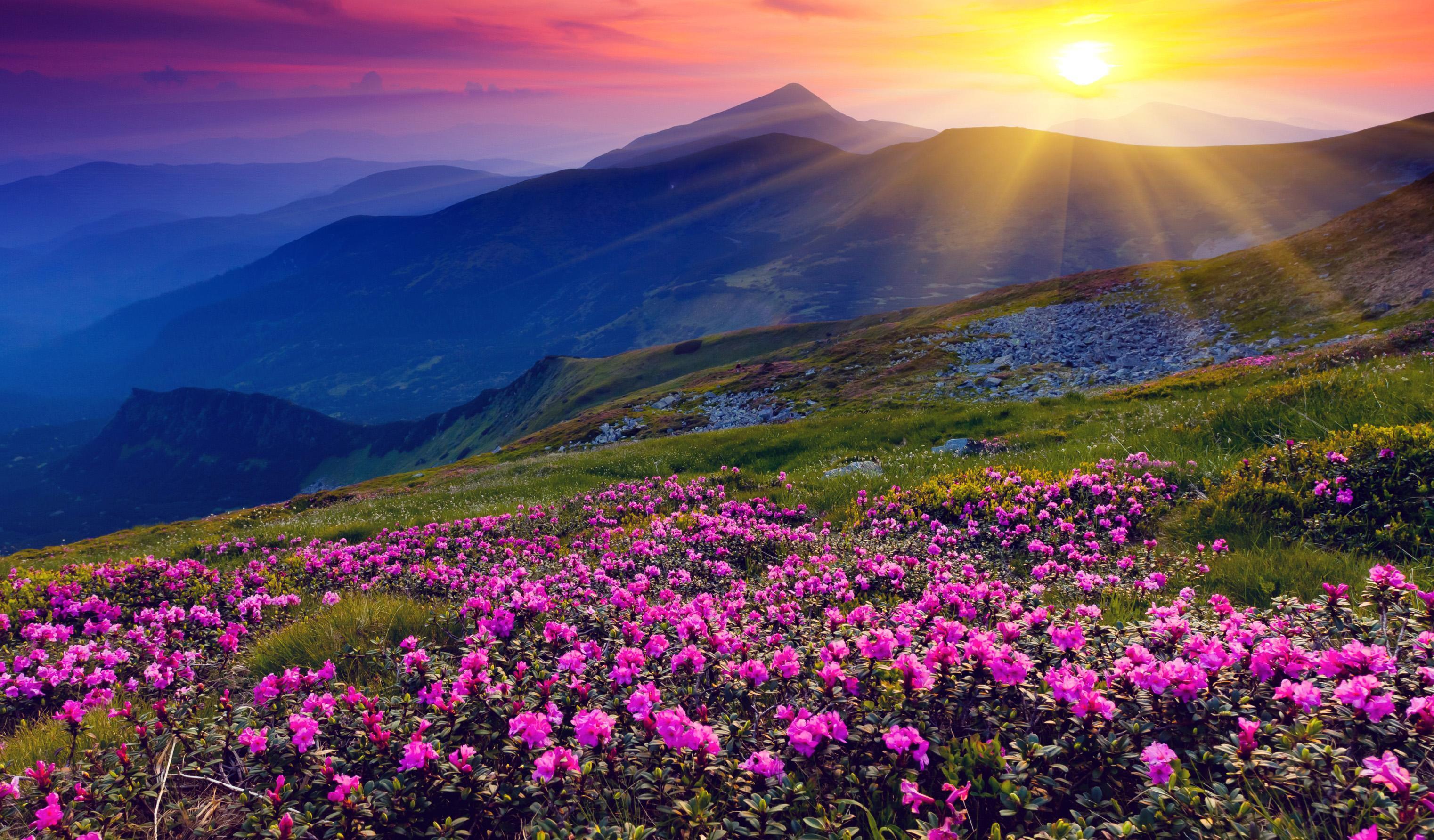 Beautiful Spring Wallpapers - Top Free Beautiful Spring Backgrounds ...