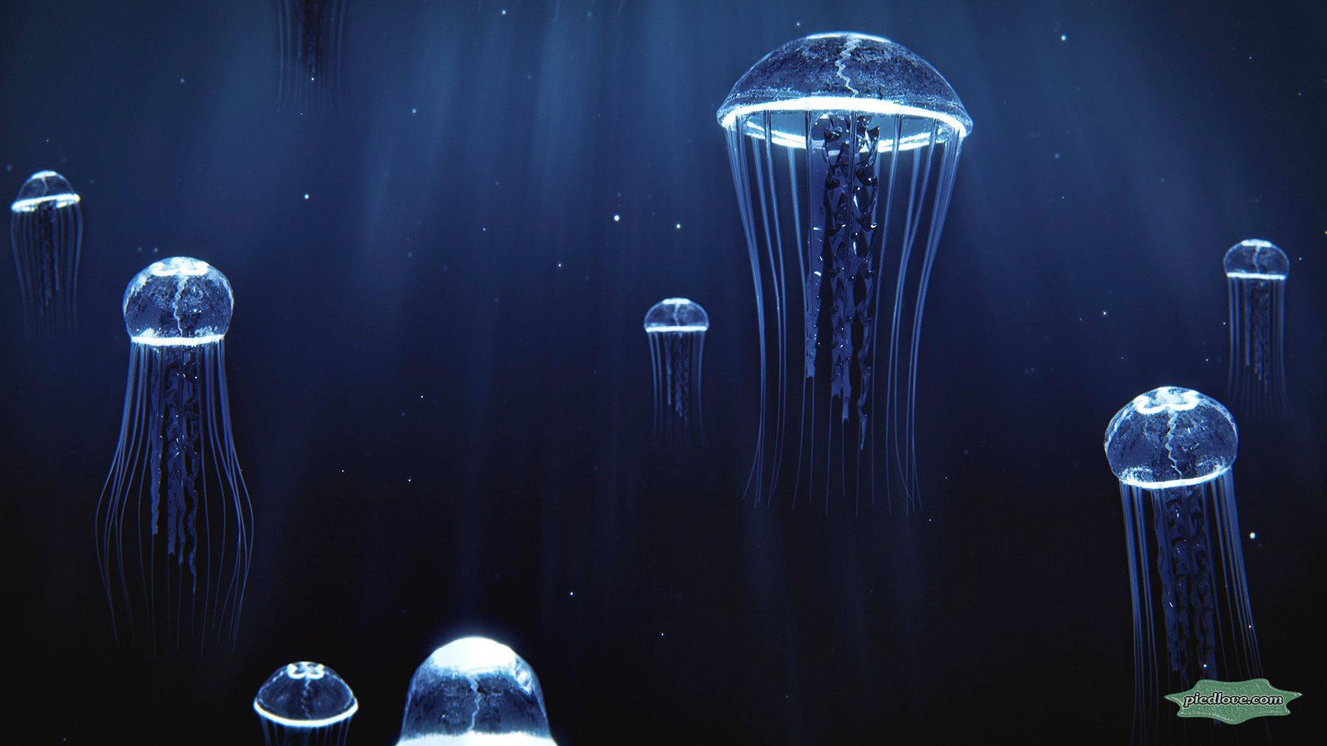 Dark Blue Sea Wallpapers - Top Free Dark Blue Sea Backgrounds ...