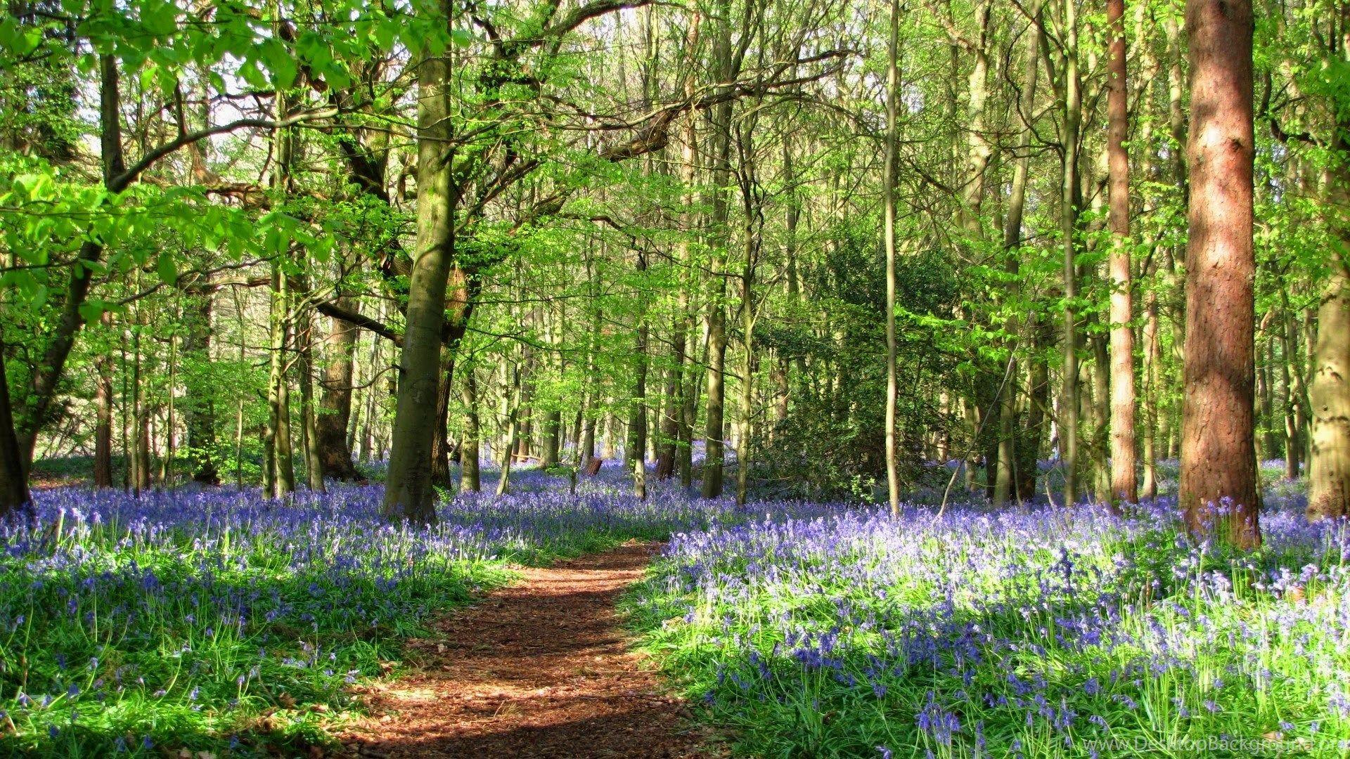 Cotswolds Wallpapers - Top Free Cotswolds Backgrounds - WallpaperAccess