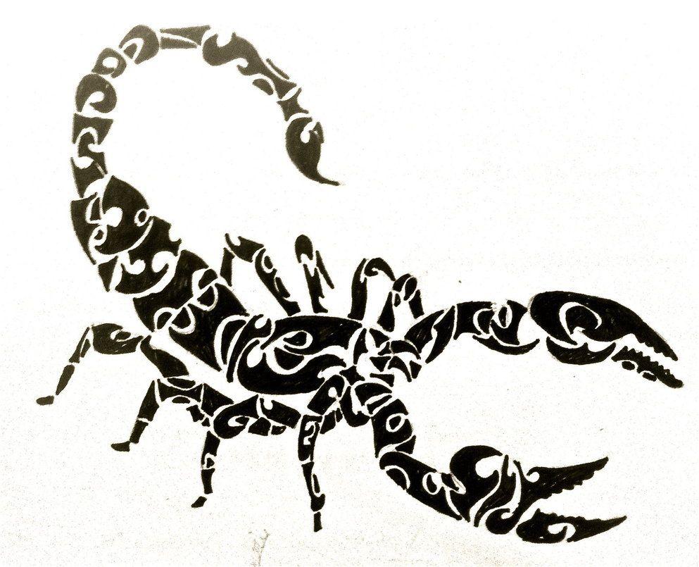 Tribal Scorpion Wallpapers - Top Free Tribal Scorpion Backgrounds ...