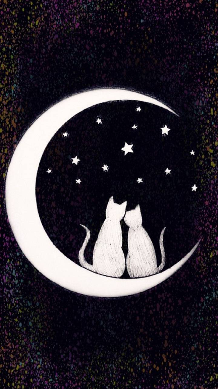 Moon Cat Wallpapers - Top Free Moon Cat Backgrounds - WallpaperAccess