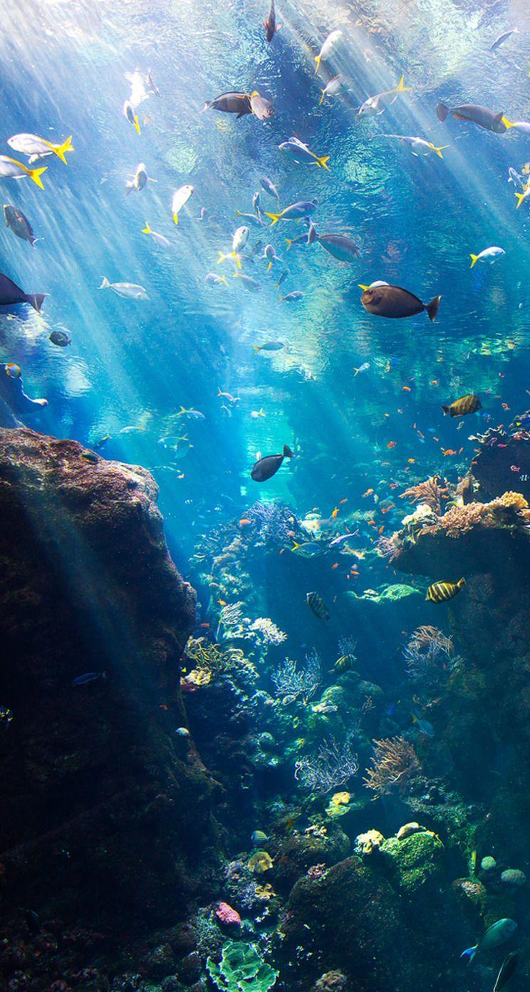 Underwater Aesthetic Wallpapers Top Free Underwater Aesthetic Underwater Aesthetic Wallpapers Top Free Underwater Aesthetic