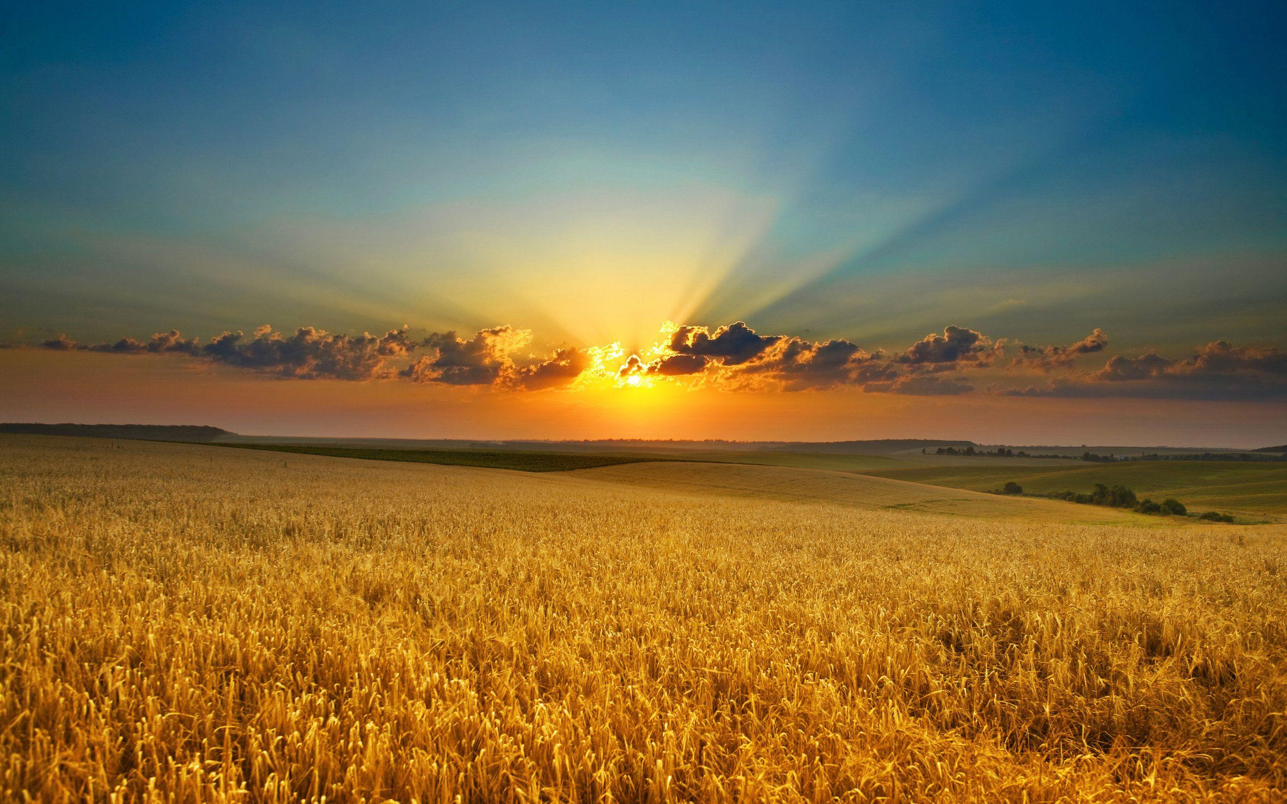 Country Sunset Wallpapers - Top Free Country Sunset Backgrounds ...