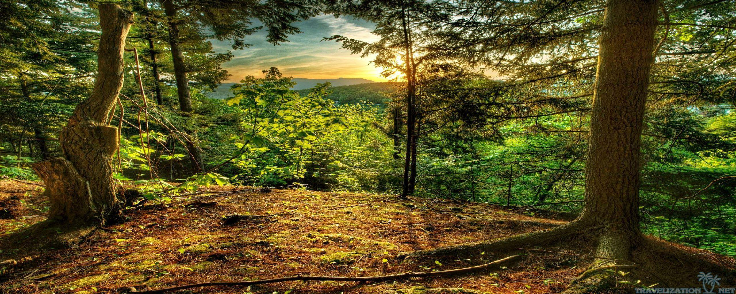 Nature Dual Screen Wallpapers - Top Free Nature Dual Screen Backgrounds ...