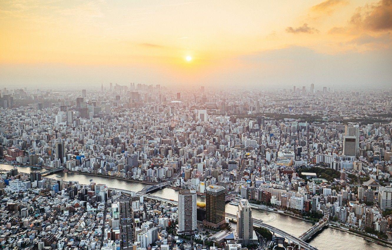 Tokyo Sunset Wallpapers - Top Free Tokyo Sunset Backgrounds ...