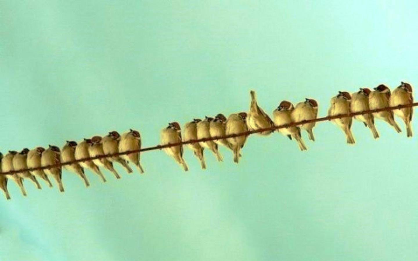 Be Different Wallpapers - Top Free Be Different Backgrounds ...