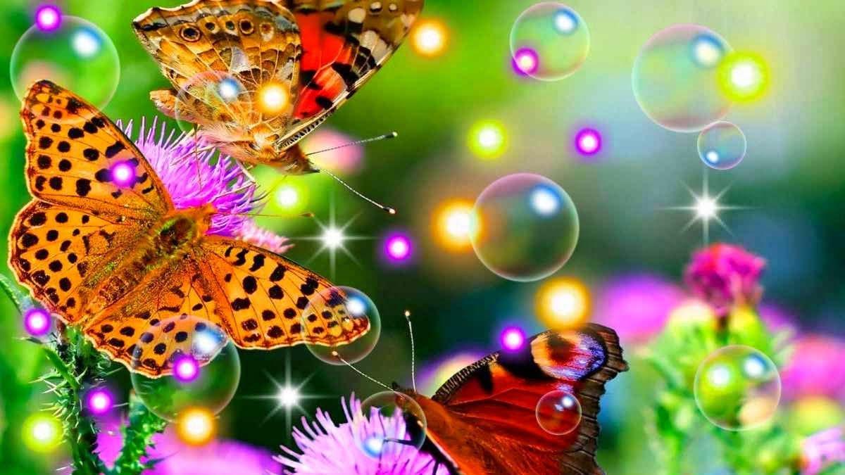 Extraordinary Nature Wallpapers - Top Free Extraordinary Nature ...