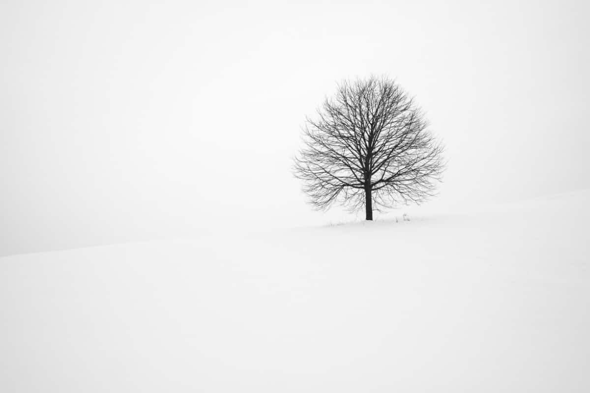 White Laptop Wallpapers - Top Free White Laptop Backgrounds ...