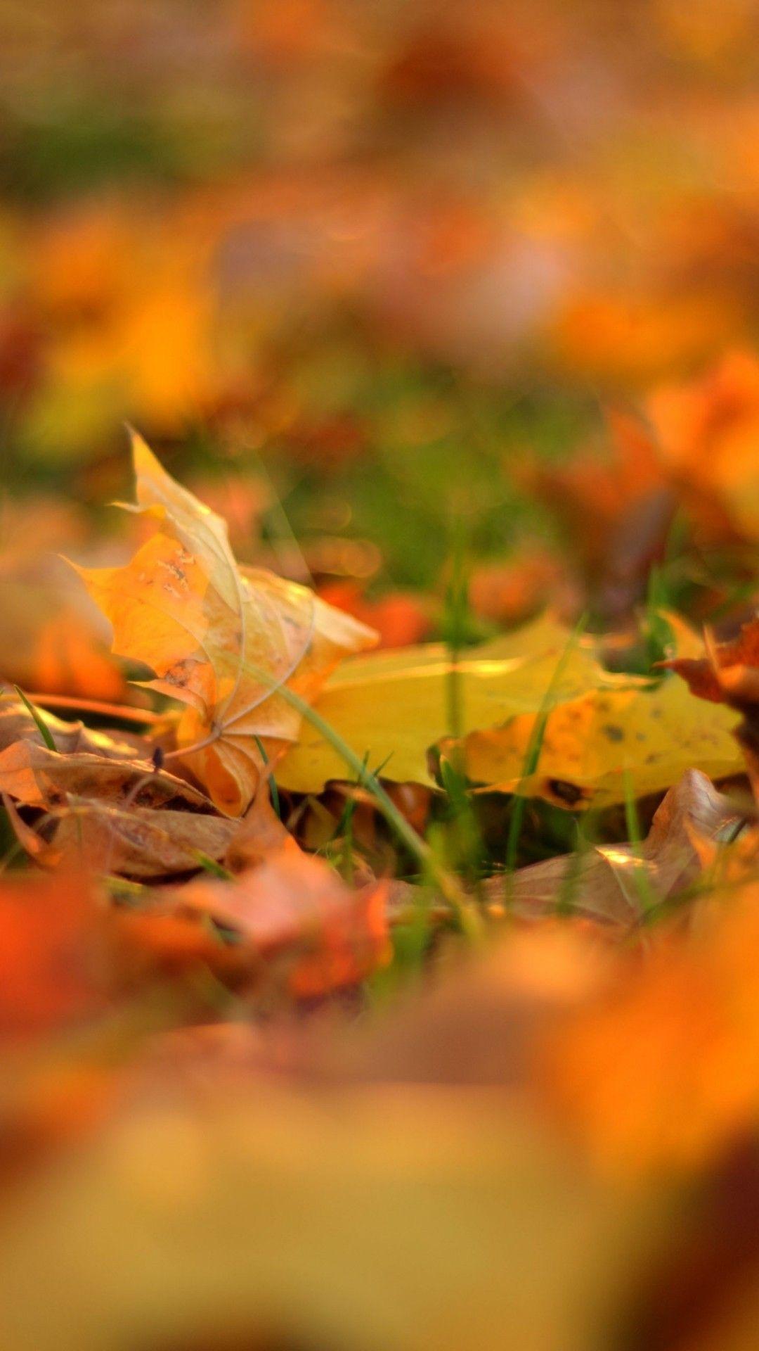 Xiaomi Redmi Note 3 Wallpapers - Top Free Xiaomi Redmi Note 3 ...