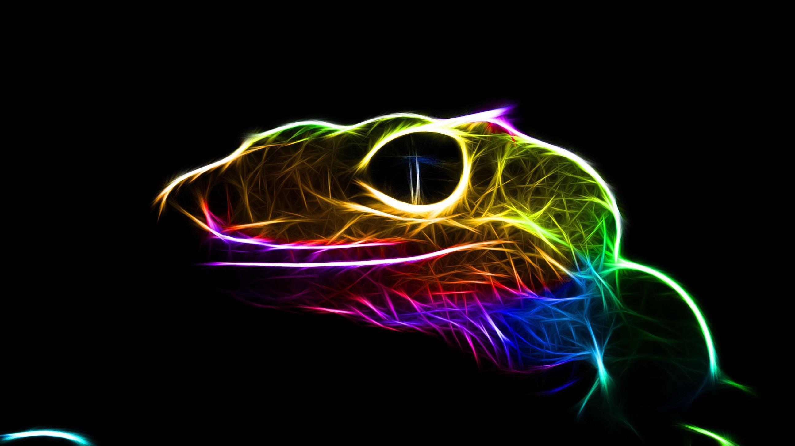 Gecko 4K Wallpapers - Top Free Gecko 4K Backgrounds - WallpaperAccess