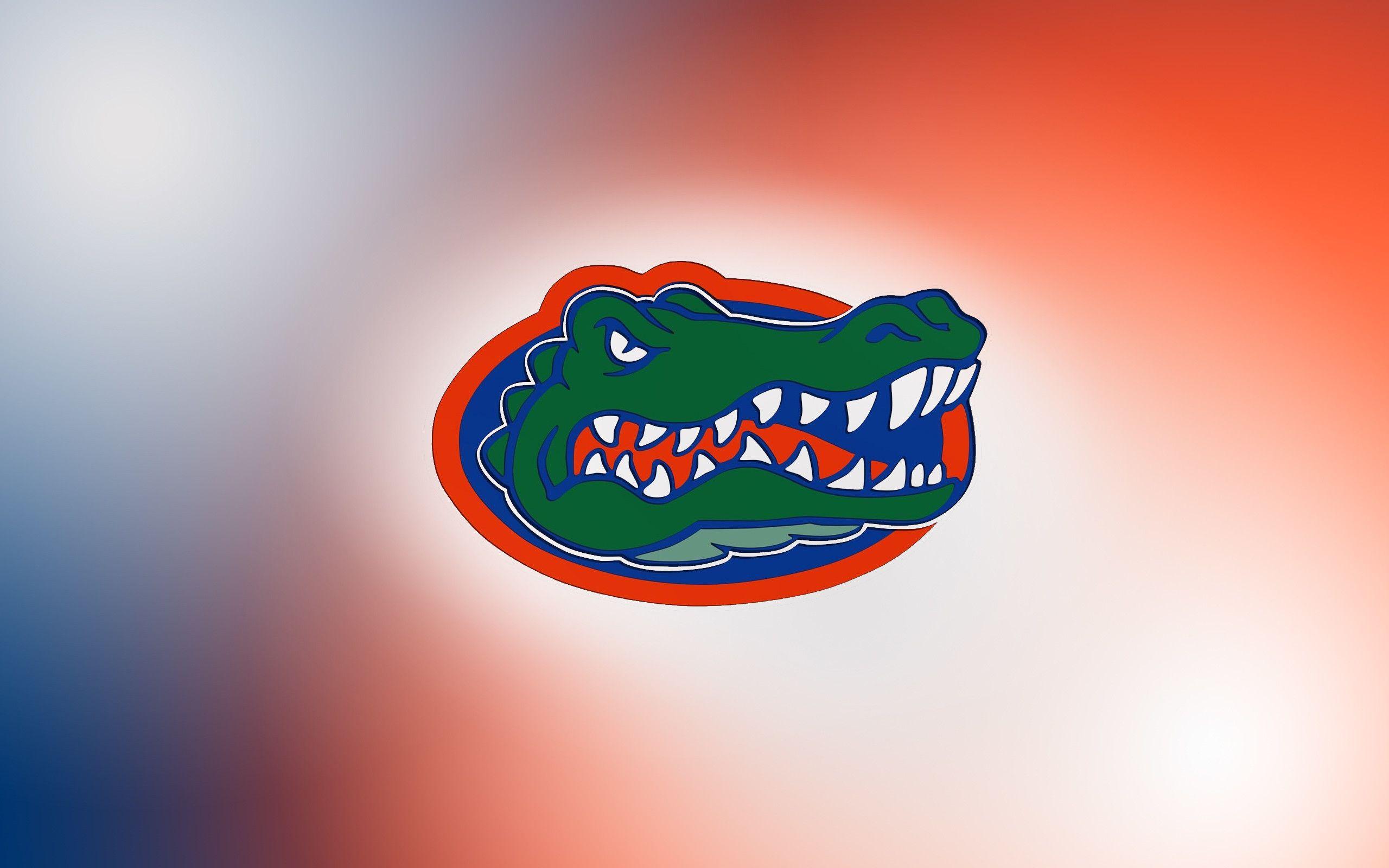 Cool Florida Wallpapers - Top Free Cool Florida Backgrounds ...