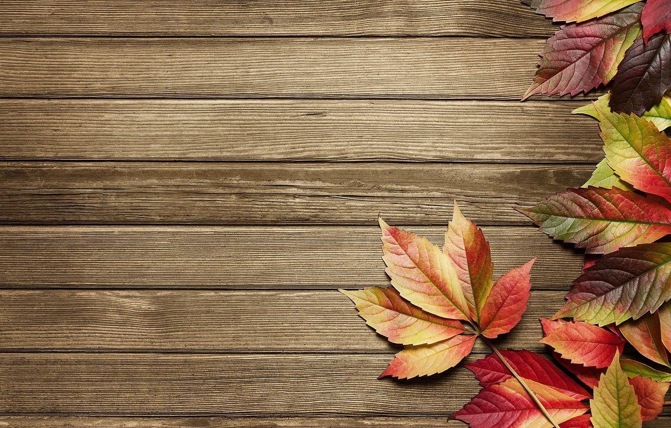 Fall Wood Wallpapers - Top Free Fall Wood Backgrounds - WallpaperAccess