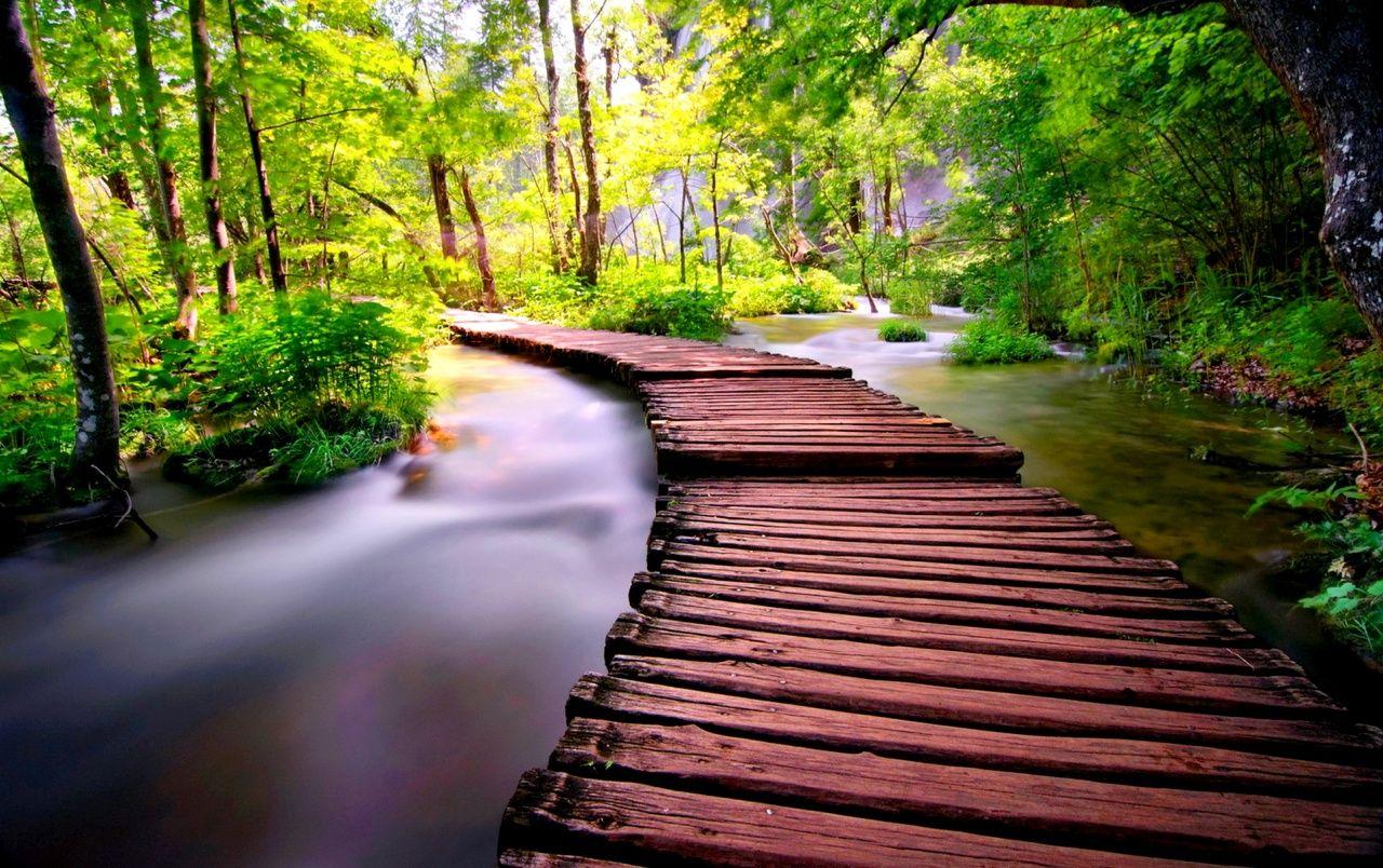 Wooden Bridge Wallpapers - Top Free Wooden Bridge Backgrounds ...